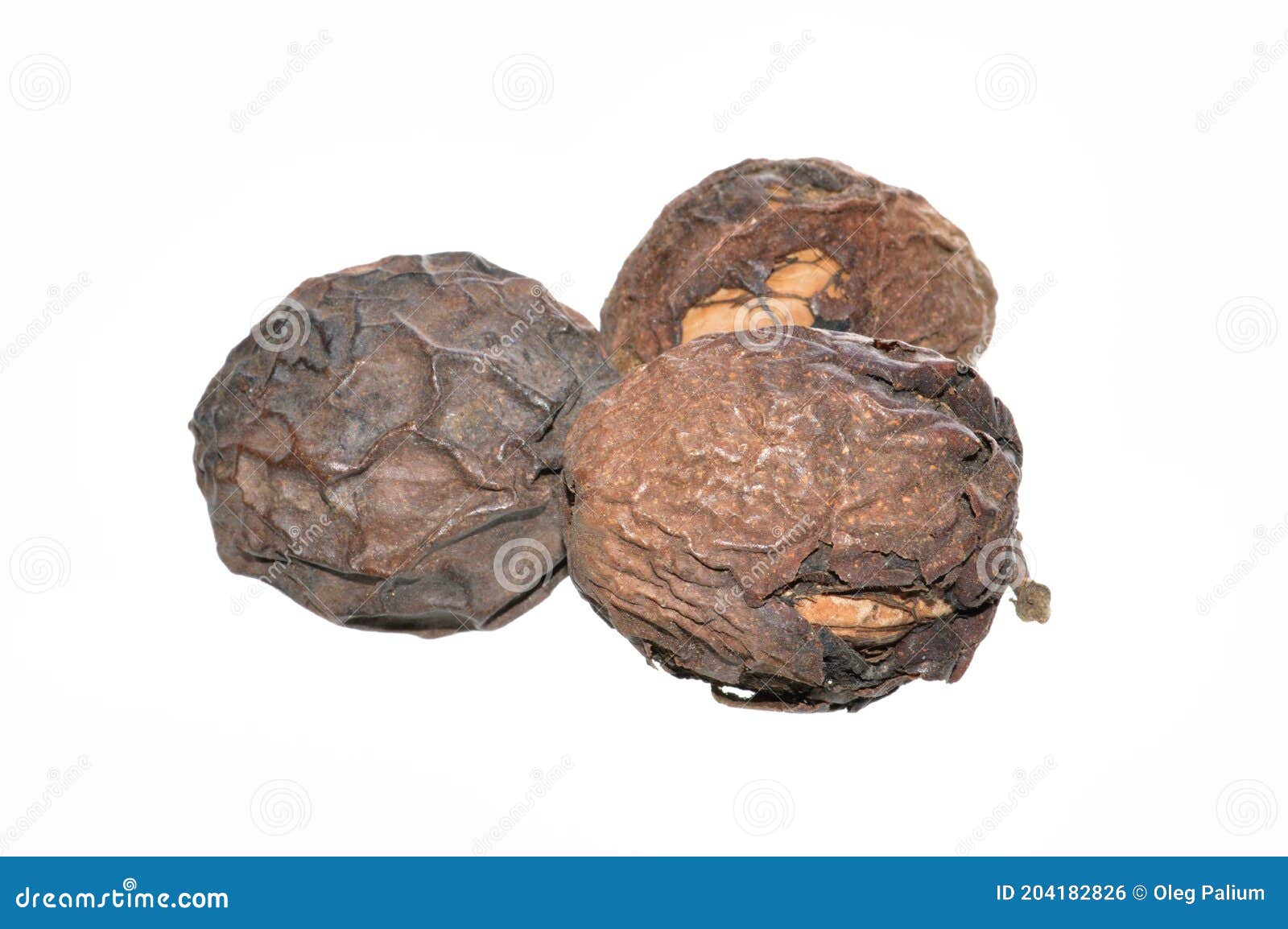 Walnut Isolated on White Background Stock Photo - Image of food ...