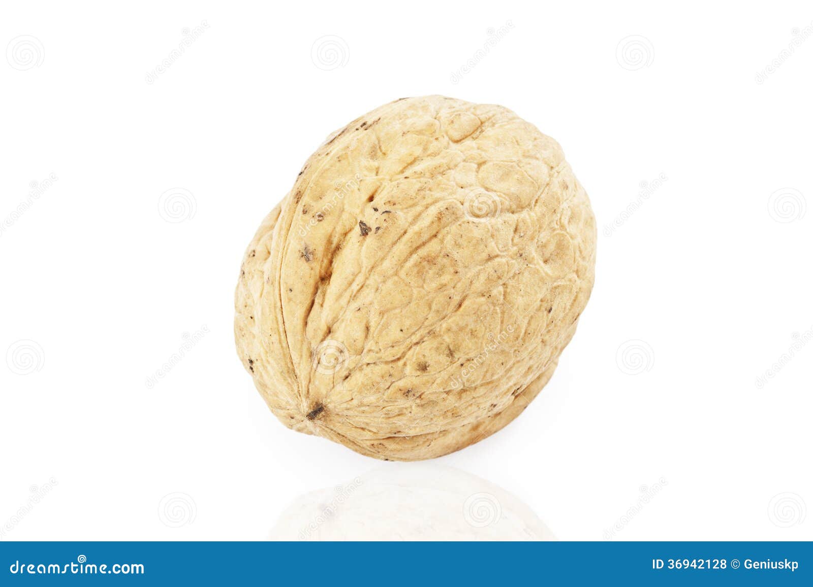 Walnut stock photo. Image of studio, delicious, tasty - 36942128