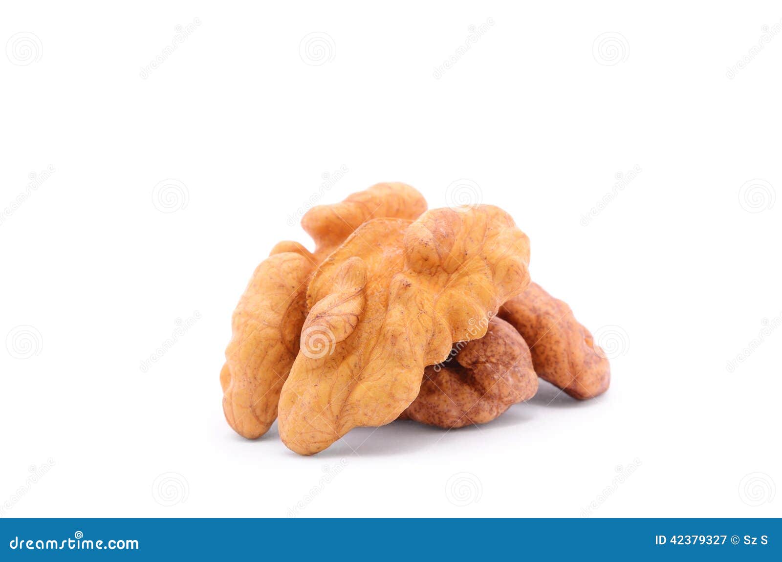 Walnut Isolated on White Background Stock Image - Image of fresh ...