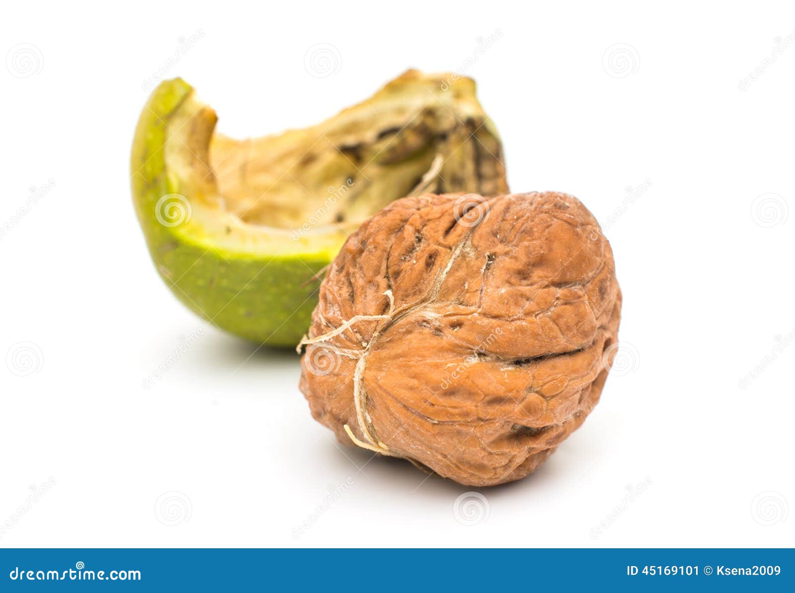 Walnut isolated stock image. Image of nutshell, natural - 45169101