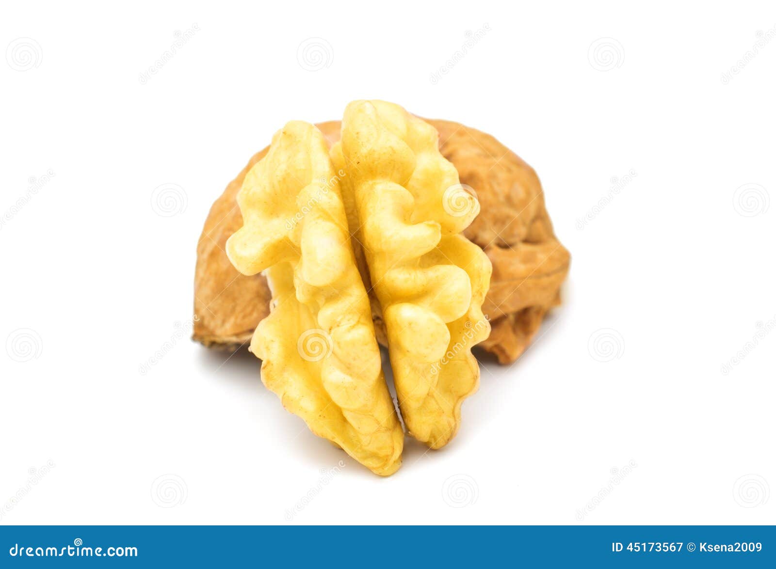 Walnut isolated stock image. Image of food, group, background - 45173567