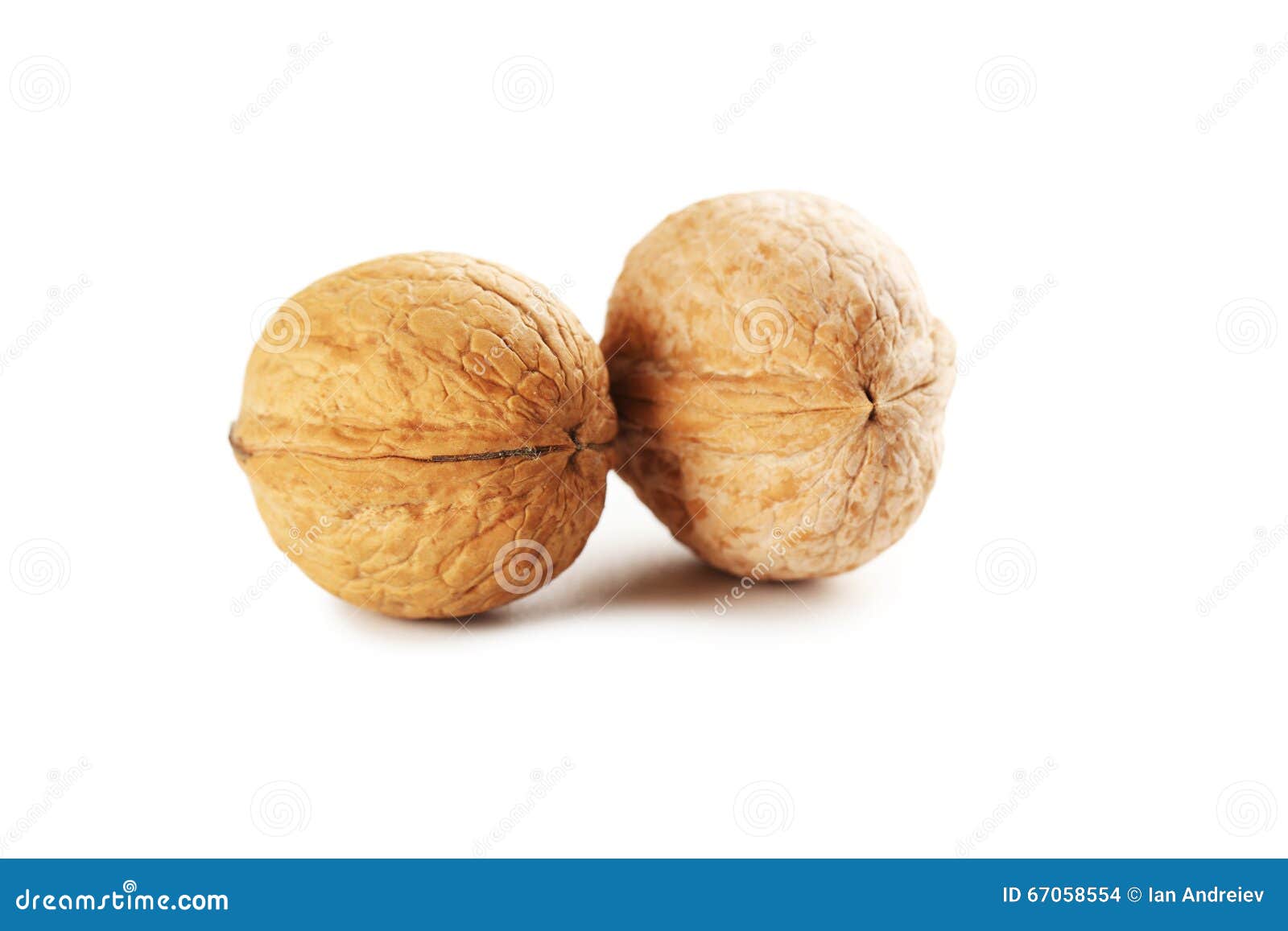 Walnut stock photo. Image of background, healthy, nutshell - 67058554