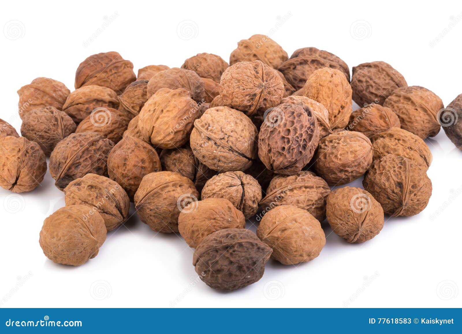 Walnut Isolated on the White Background Stock Image - Image of seasonal ...