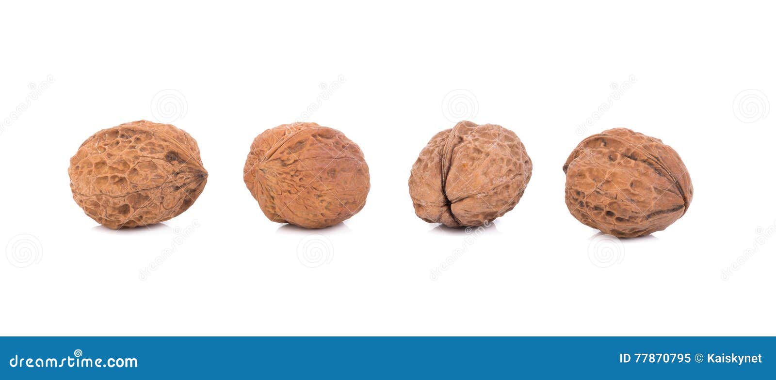 Walnut Isolated on the White Background Stock Image - Image of healthy ...