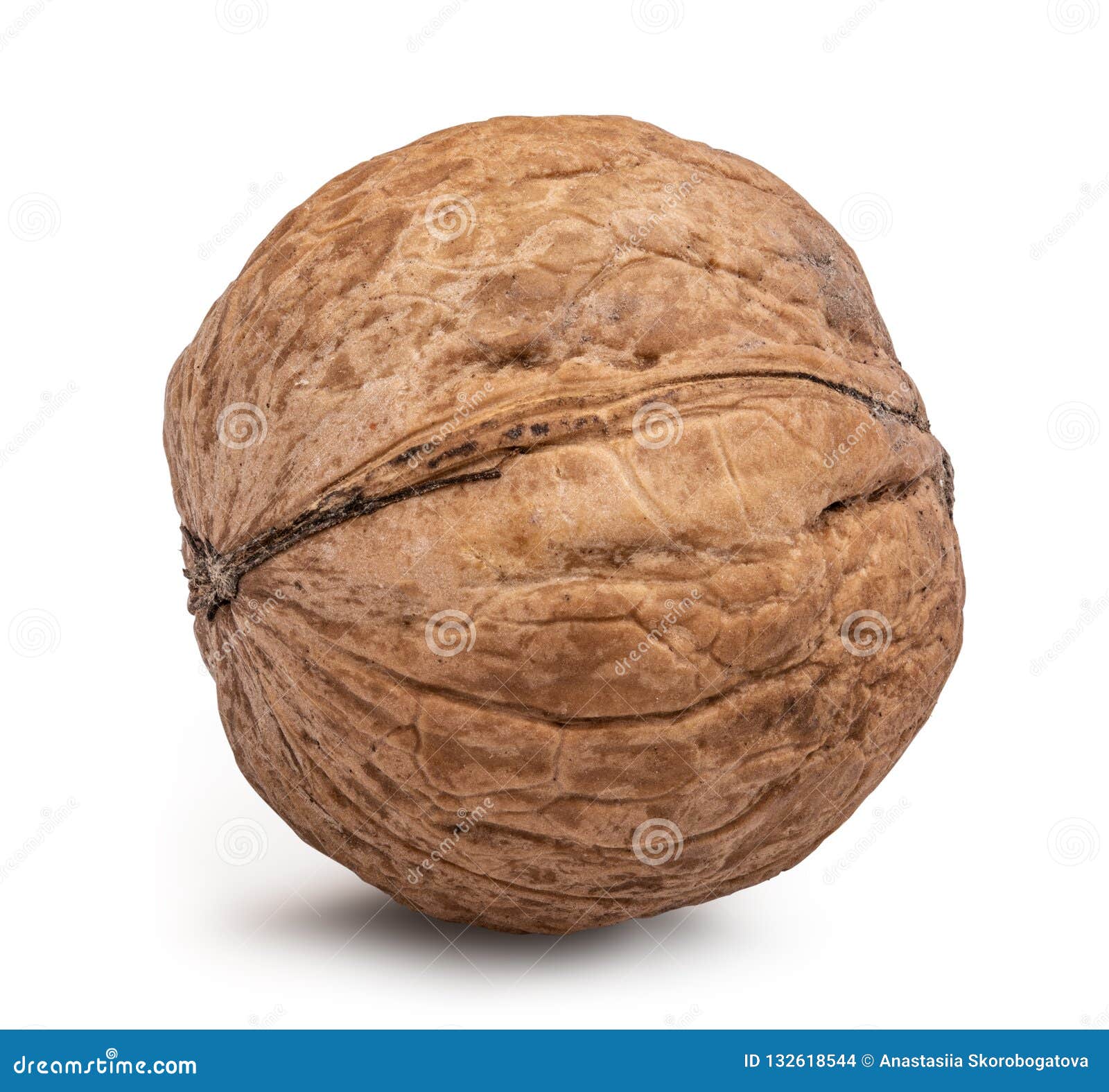 Walnut on white background stock photo. Image of fruit - 132618544
