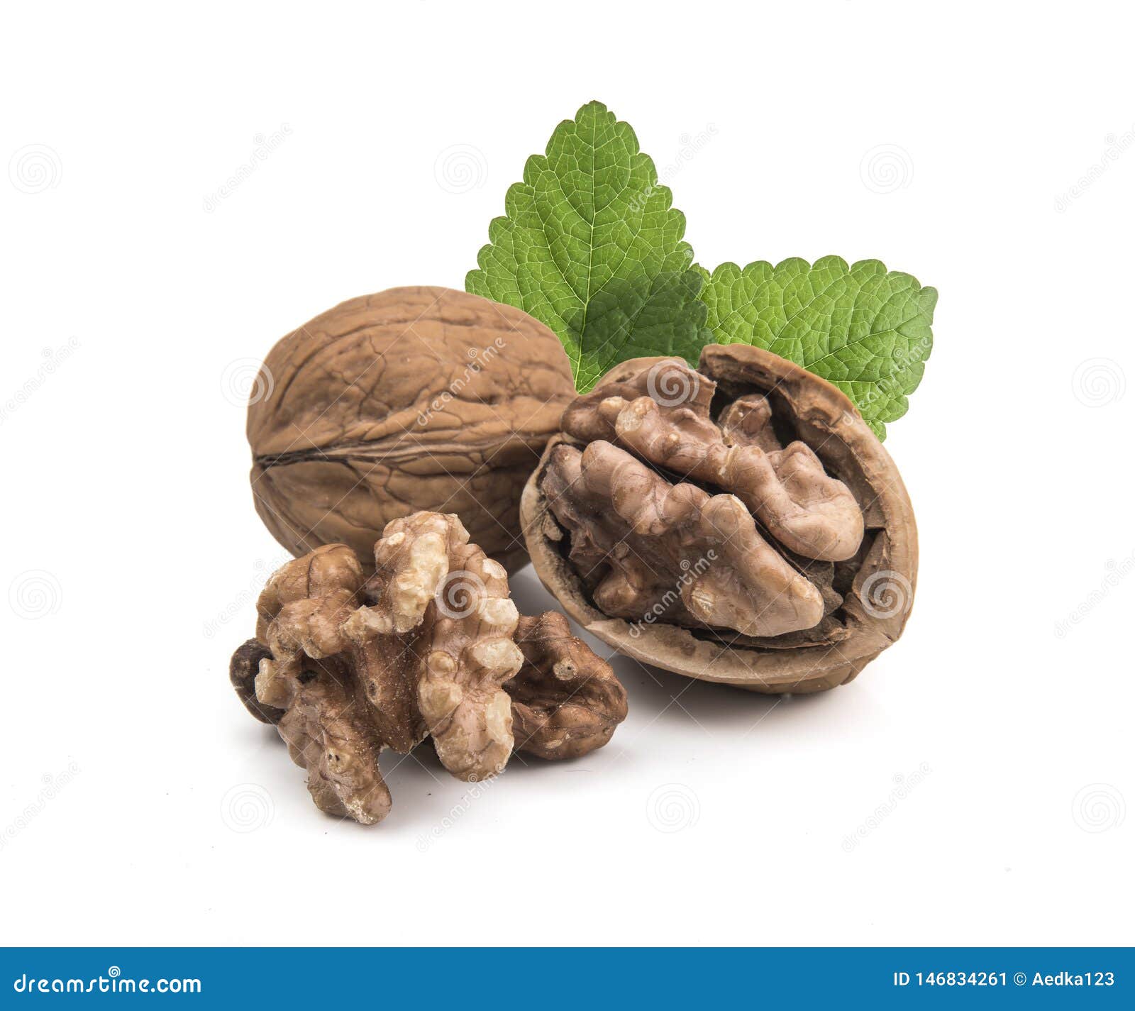 Walnut Isolated on White Background Stock Image - Image of food ...