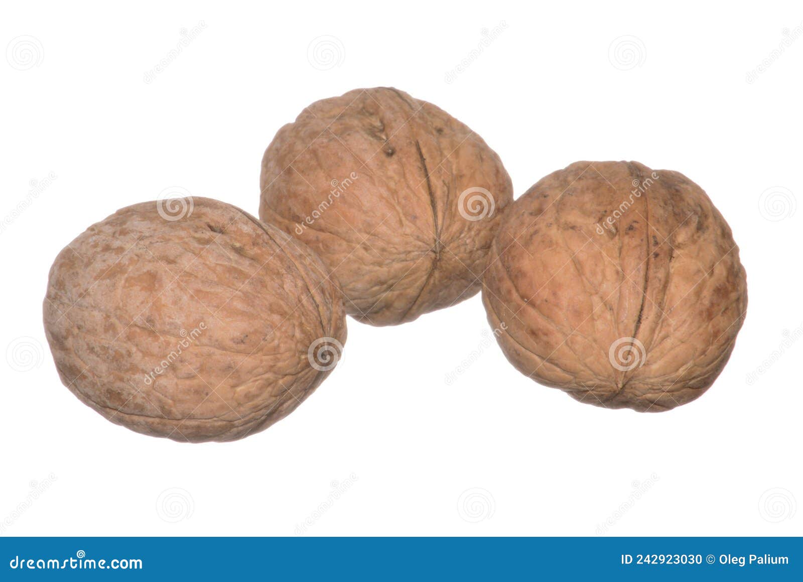 Walnut Isolated on White Background Stock Photo - Image of fruit ...