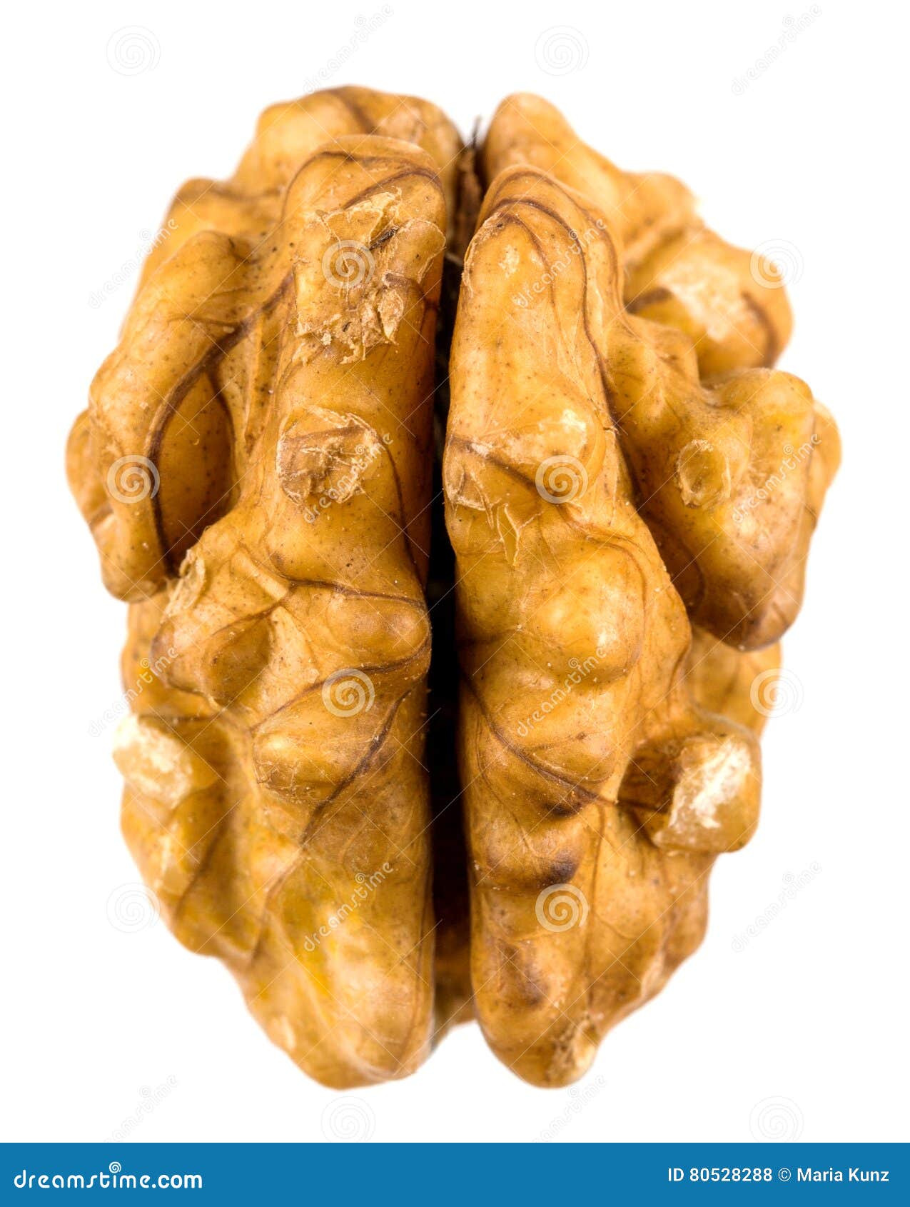 Walnut Isolated on White Background Stock Photo - Image of cracked ...