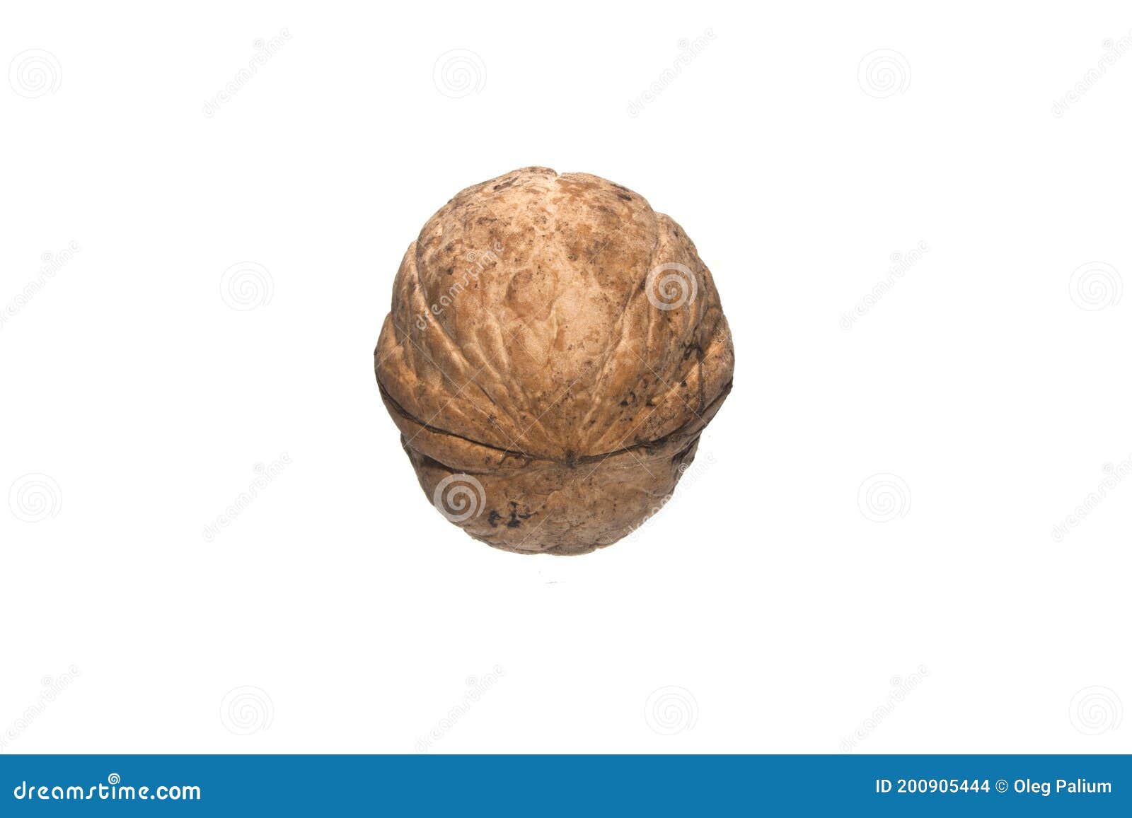 Walnut Isolated on White Background Stock Photo - Image of chocolate ...