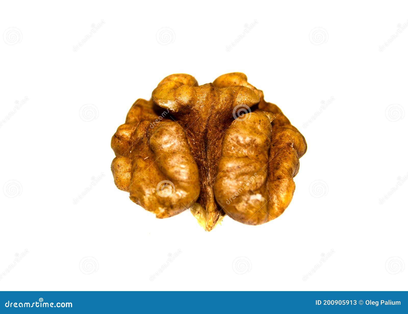 Walnut Isolated on White Background Stock Image - Image of healthy ...