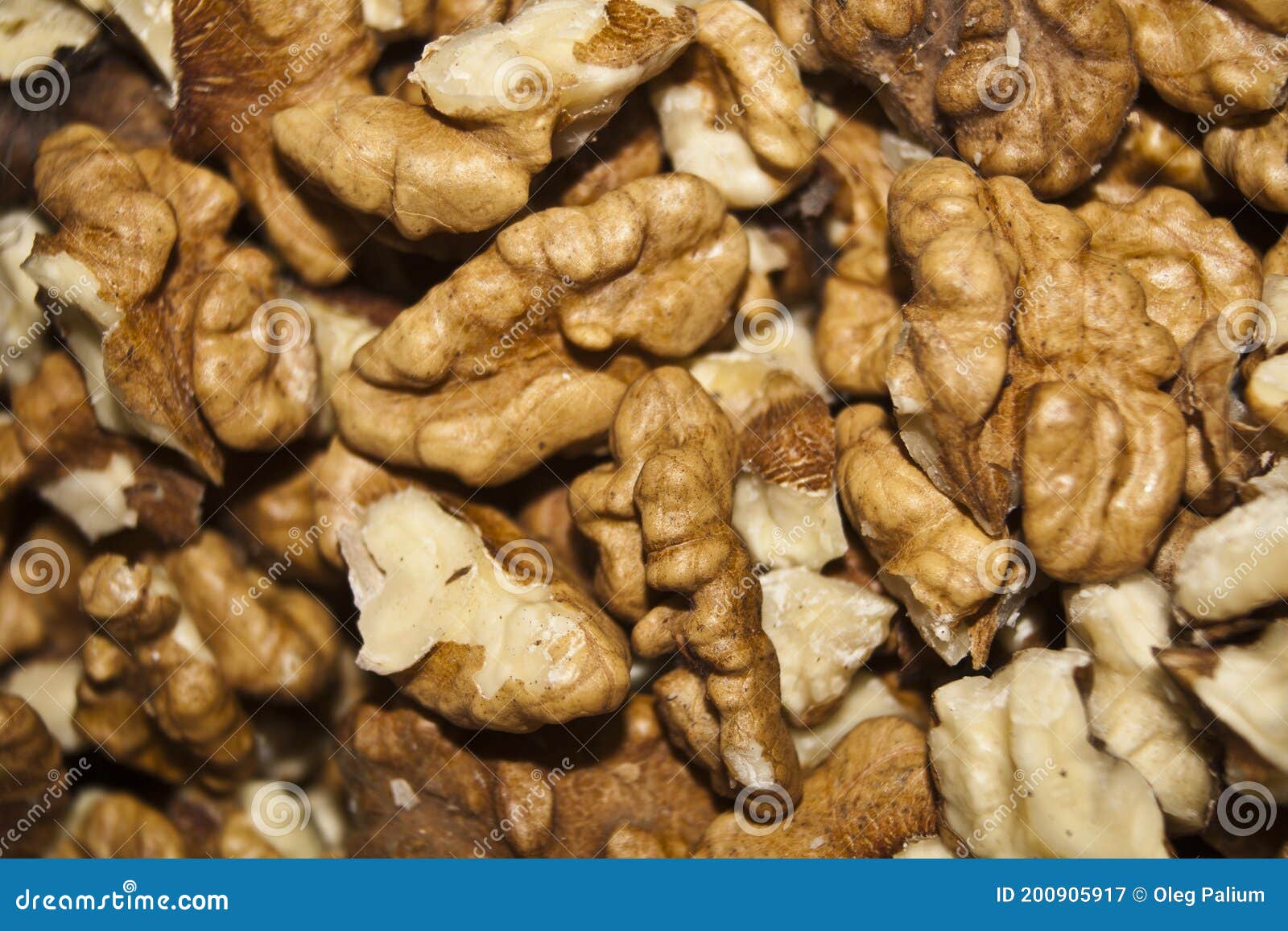 Walnut Isolated on White Background Stock Image - Image of healthy ...