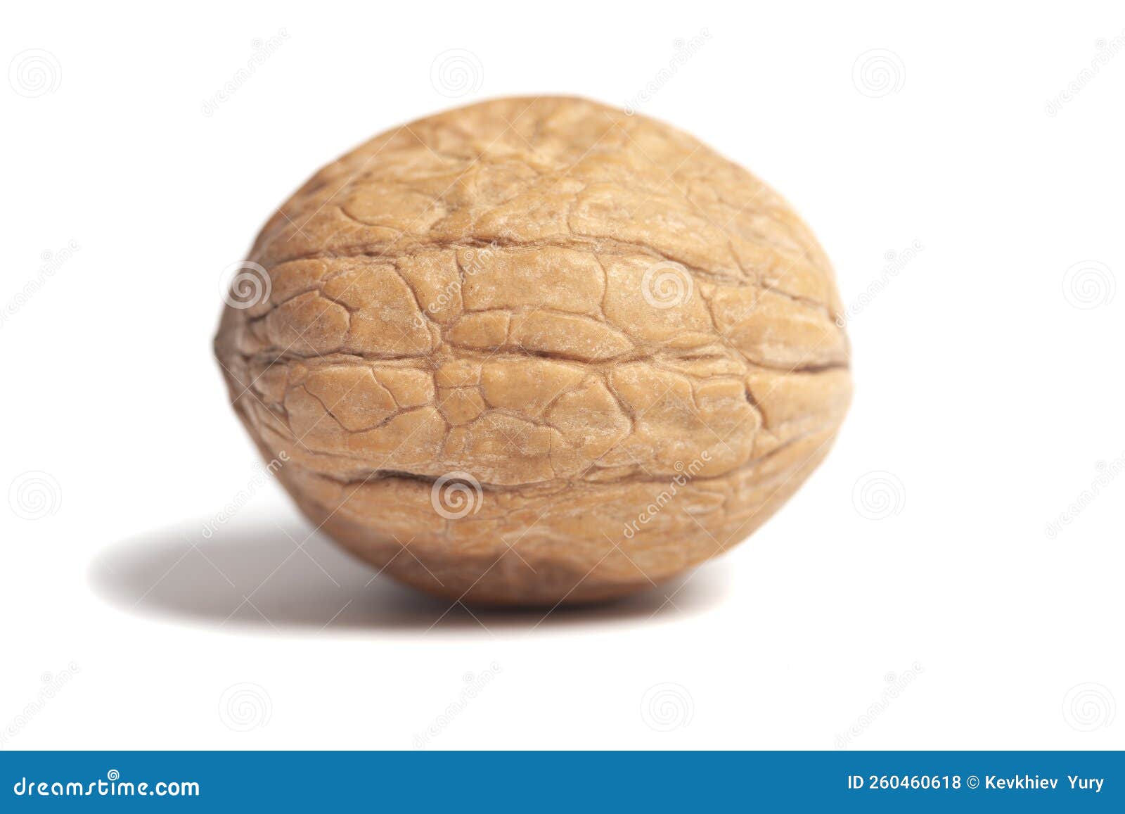 Walnut Isolated on a White Background Stock Photo - Image of flavor ...