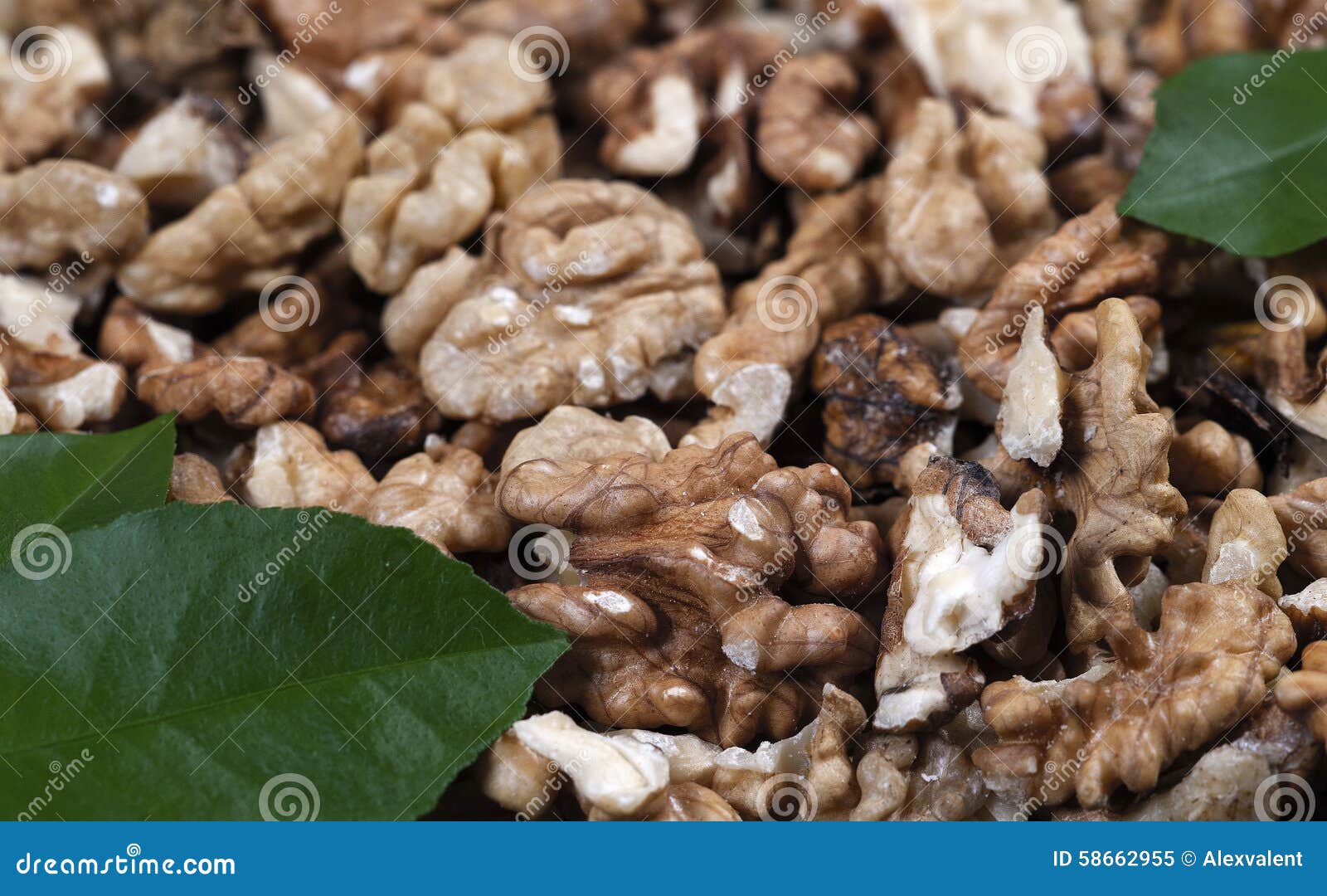 Walnut stock image. Image of nutrition, kernel, freshness - 58662955