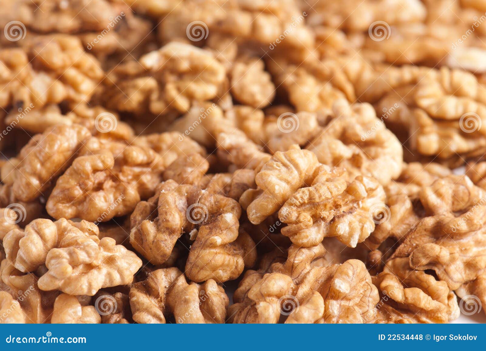 Walnut kernel stock photo. Image of background, vegetable - 22534448