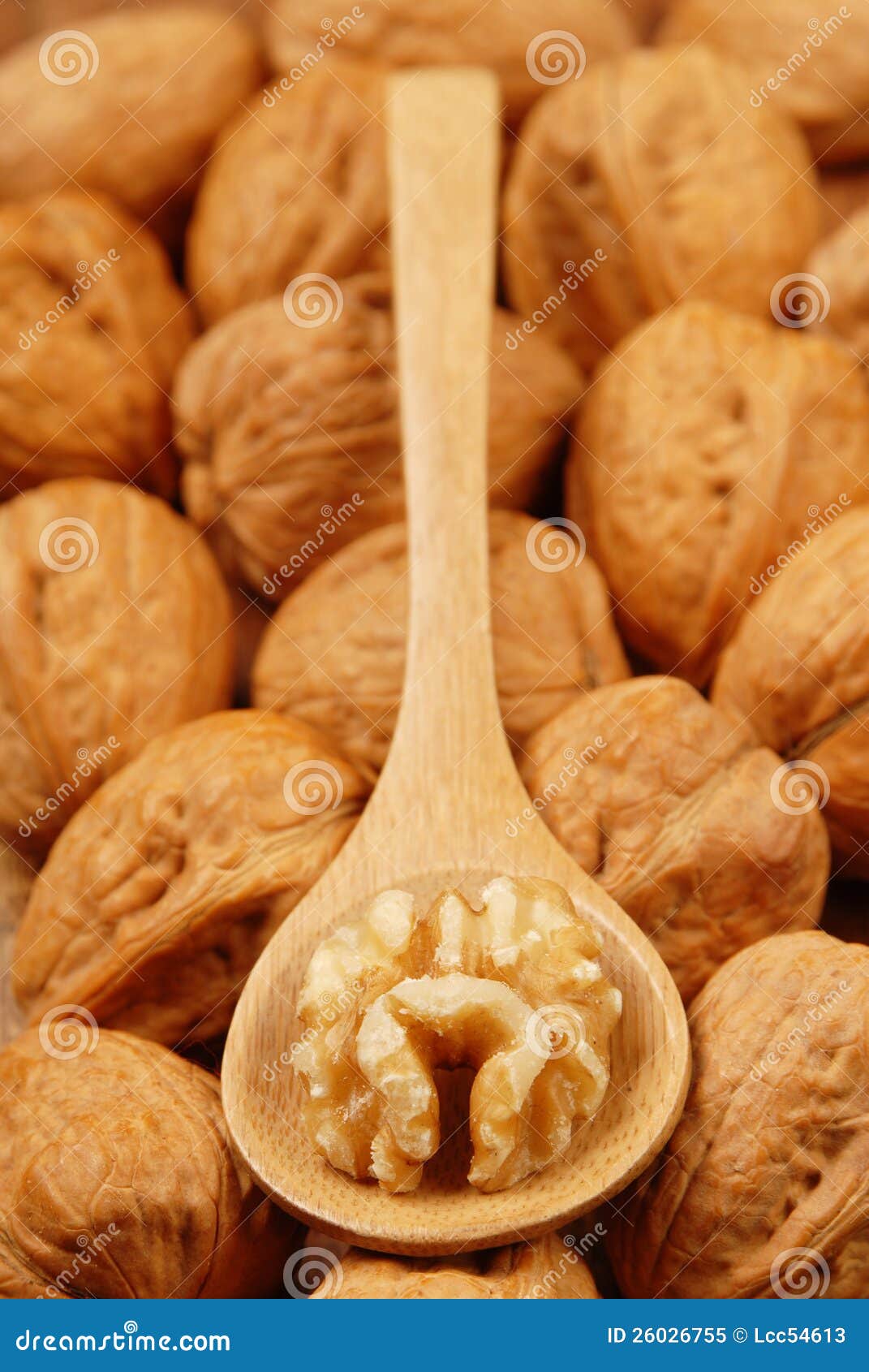 Walnut kernel stock image. Image of edible, group, breakfast - 26026755