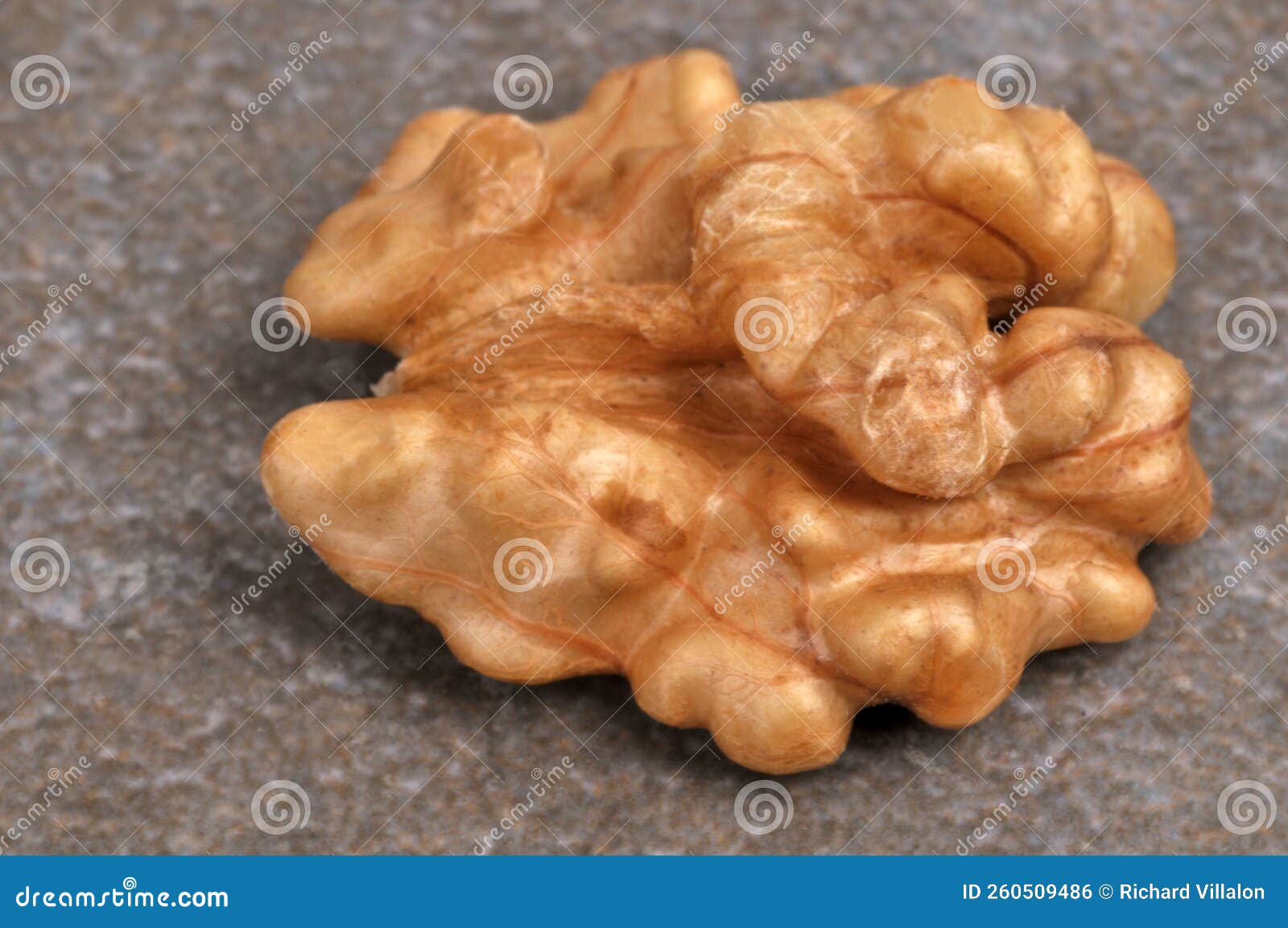 Walnut Kernel Close-up on a Gray Background Stock Photo - Image of ...