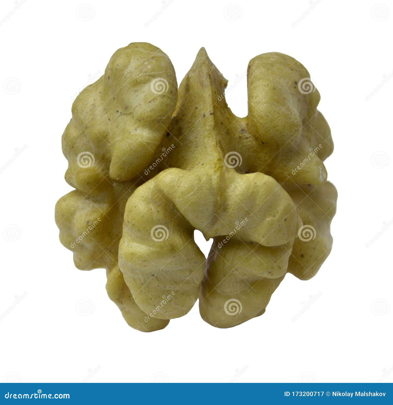 Walnut Kernel Isolated on White Background. Dry Nut, Snack Carved on ...