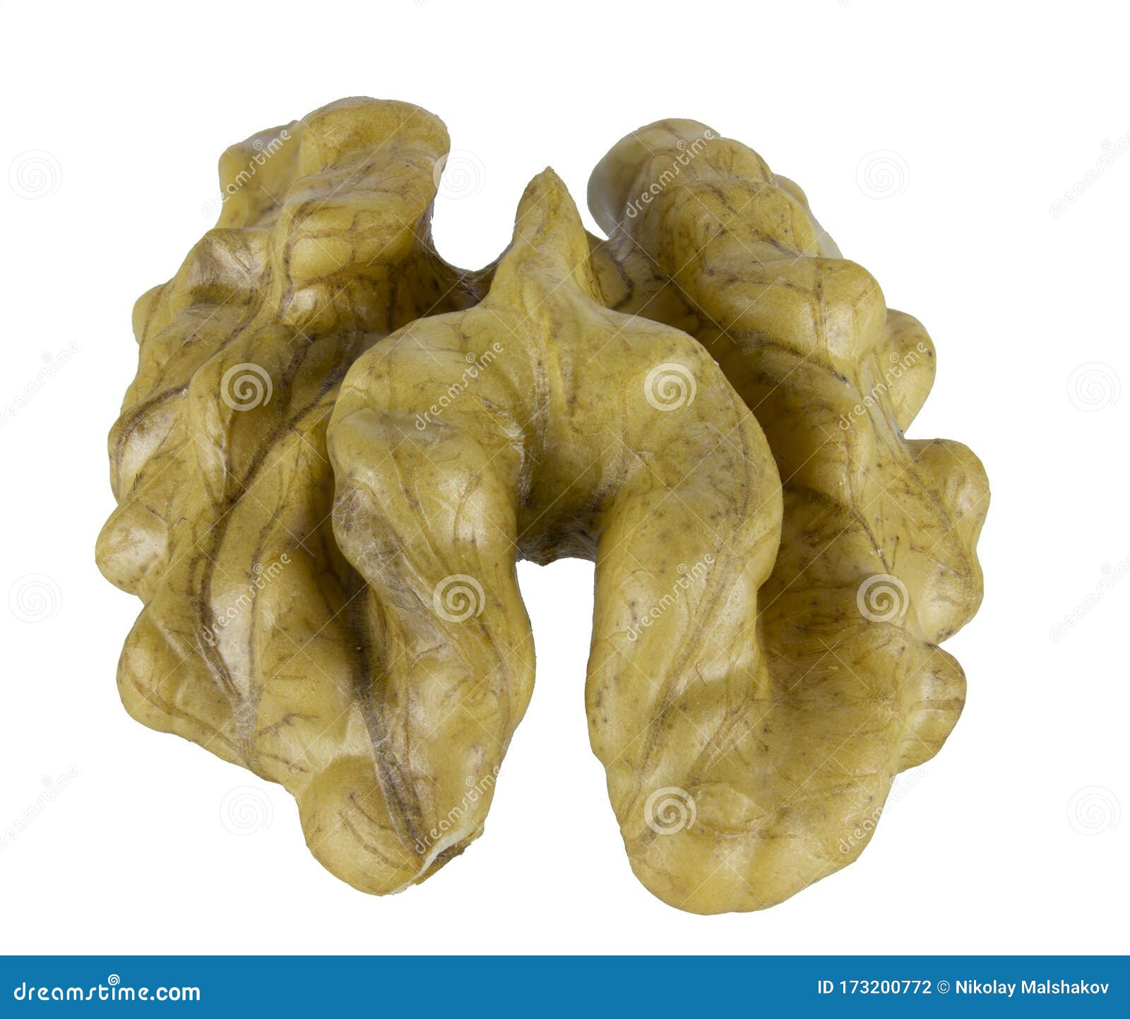 Walnut Kernel Isolated on White Background. Dry Nut, Snack Carved on ...