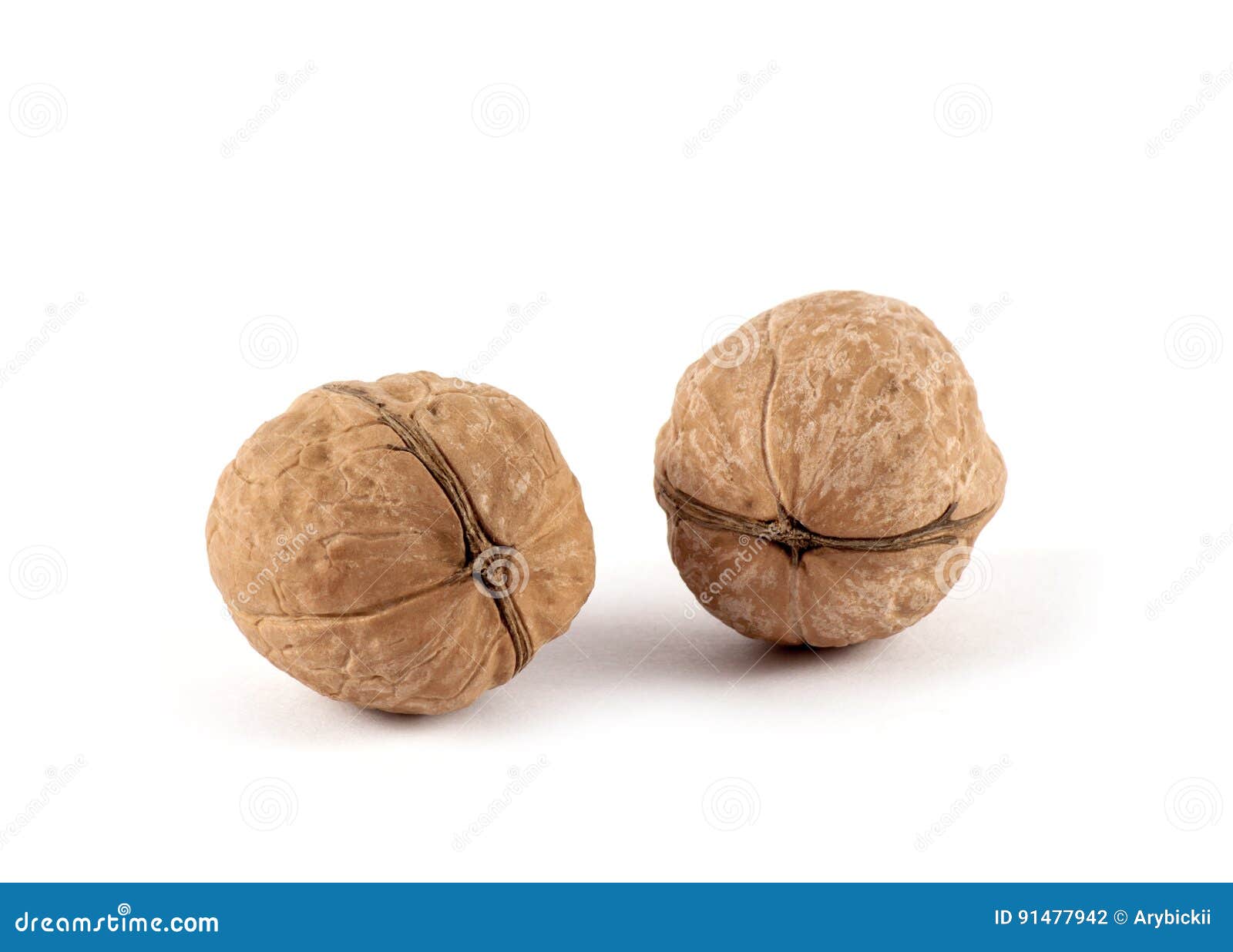 Walnut kernel isolated stock photo. Image of snack, nutty - 91477942