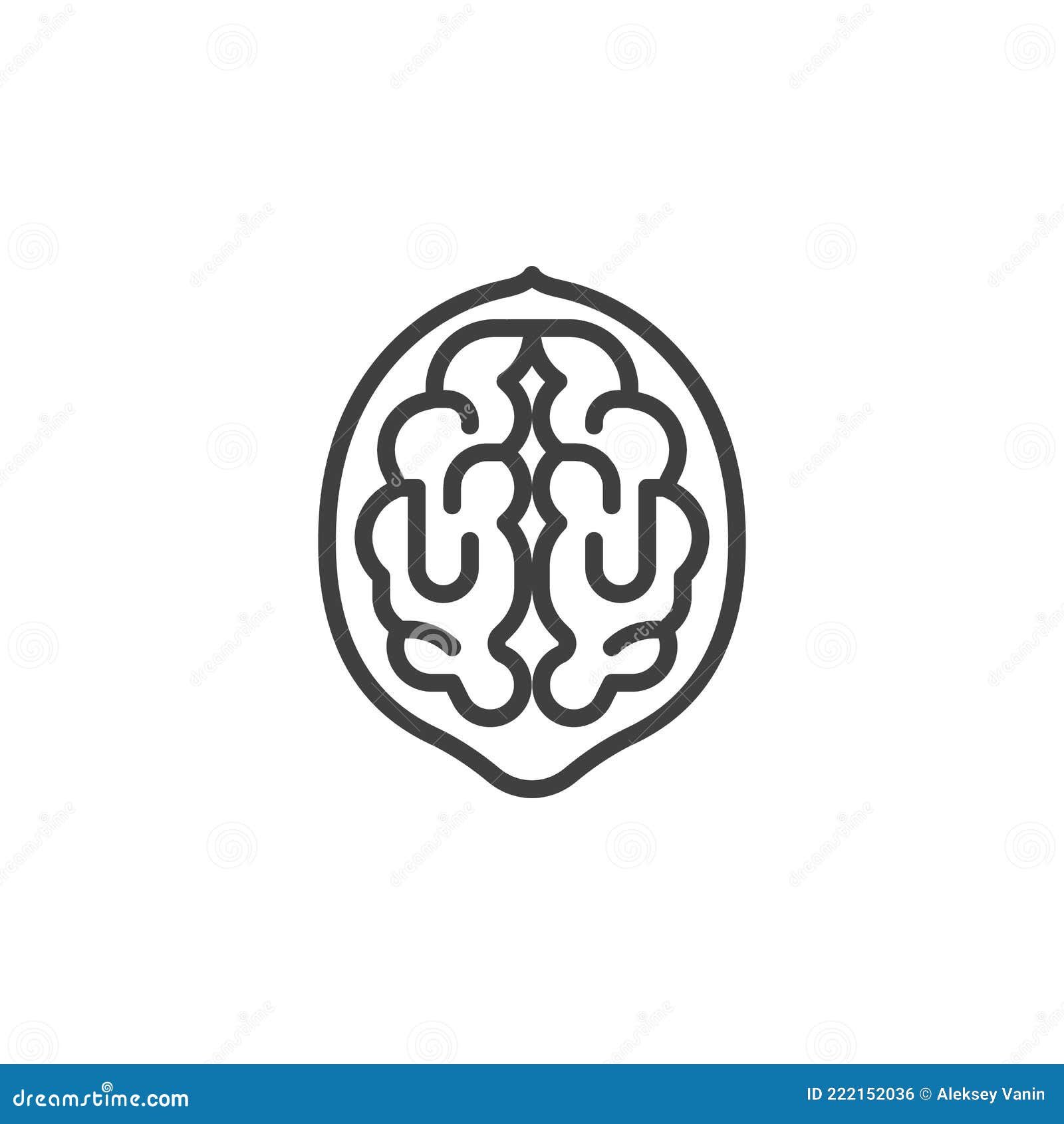 Walnut Kernel. Healthy Snack. Fresh Farm Market Harvest Product ...