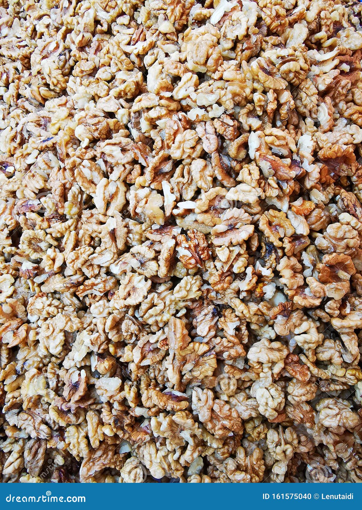 Walnut Kernel - Macro Details Stock Photo - Image of details, culinary ...