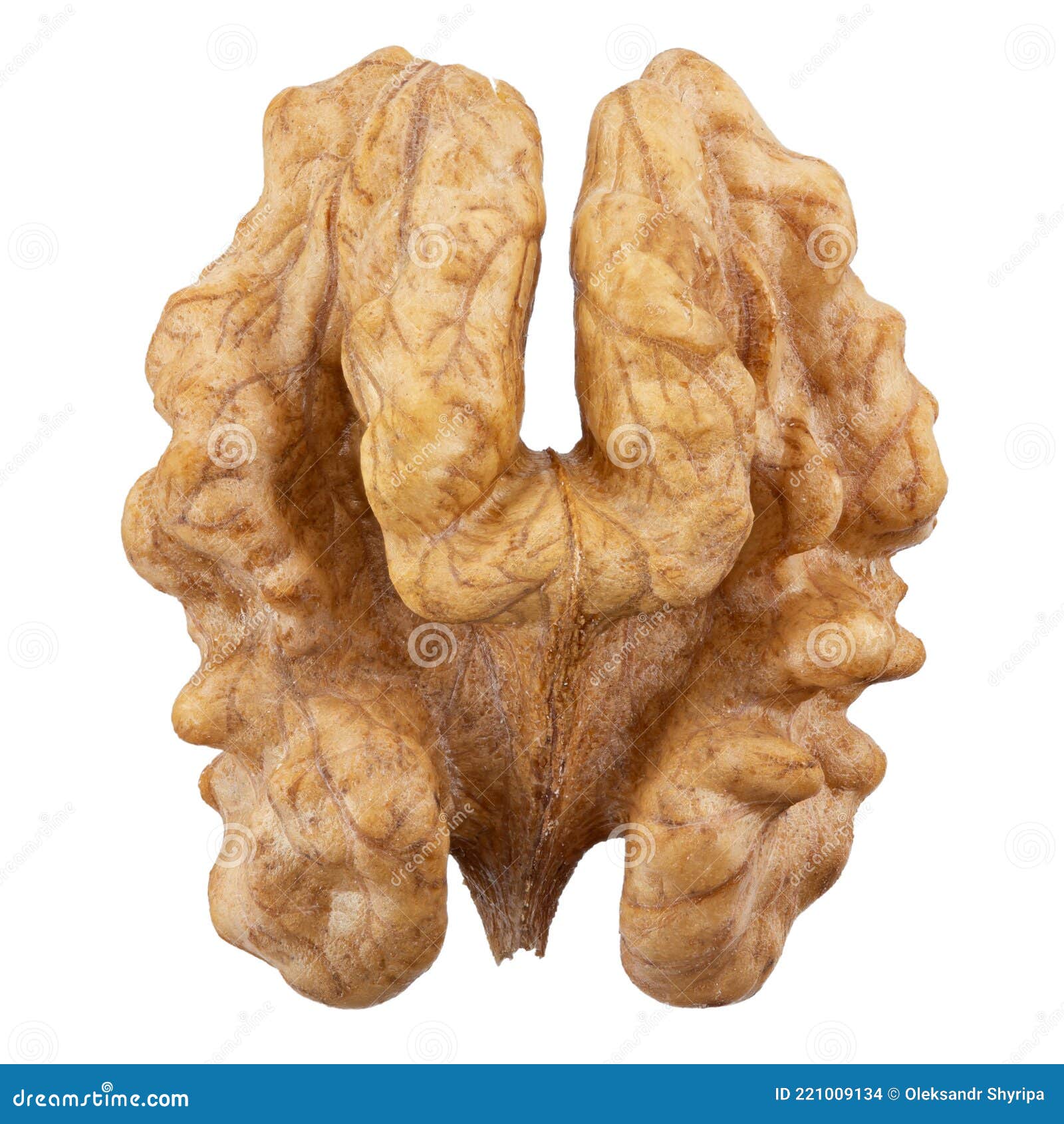 Walnut Kernel. Nut Isolated on White Stock Photo - Image of open ...