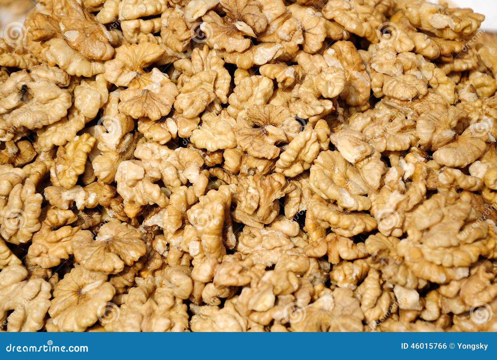 Walnut kernel stock photo. Image of natural, health, ingredient - 46015766