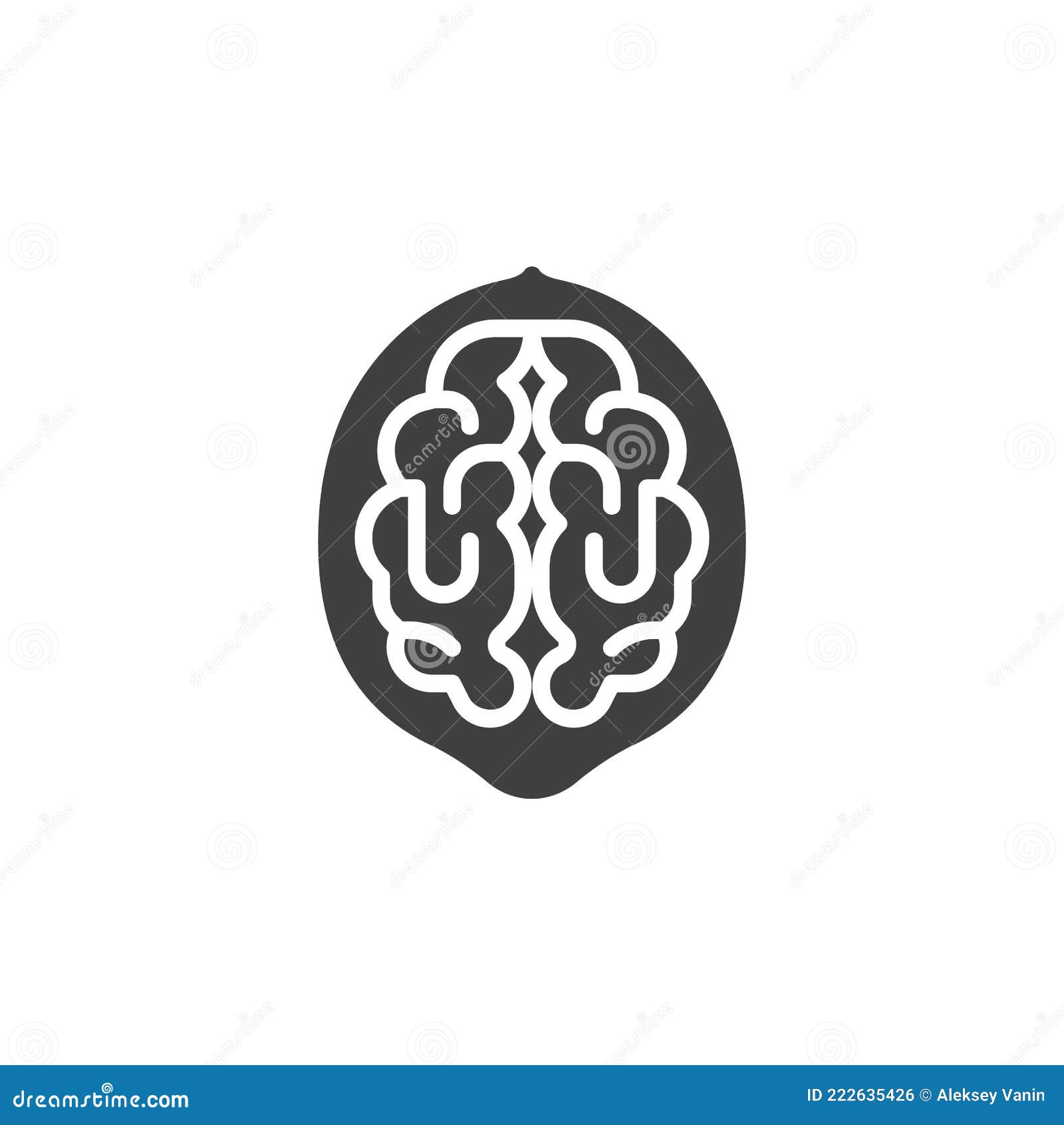 Walnut Kernel. Healthy Snack. Fresh Farm Market Harvest Product ...