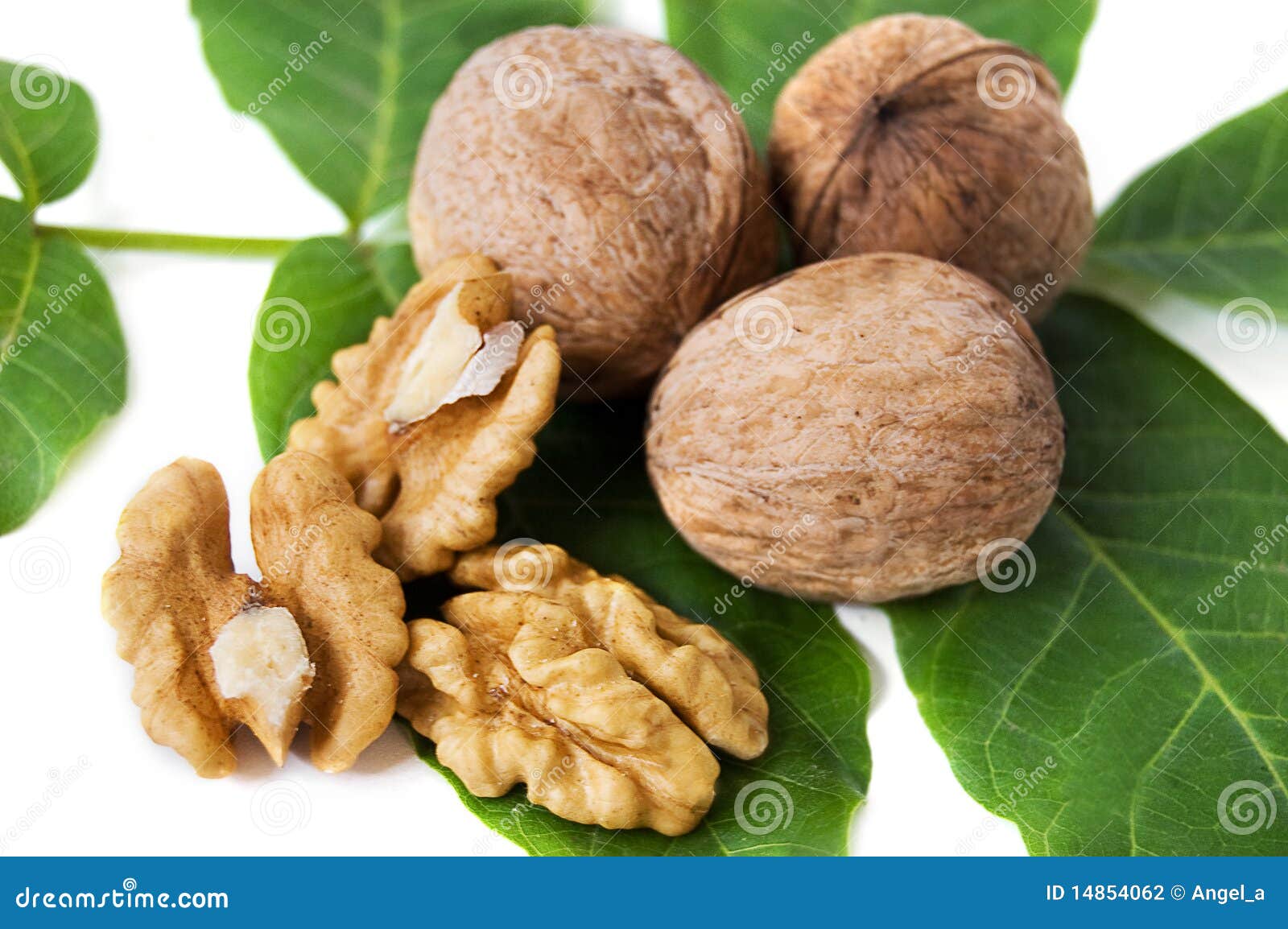Walnut kernels stock photo. Image of kernel, healthy - 14854062