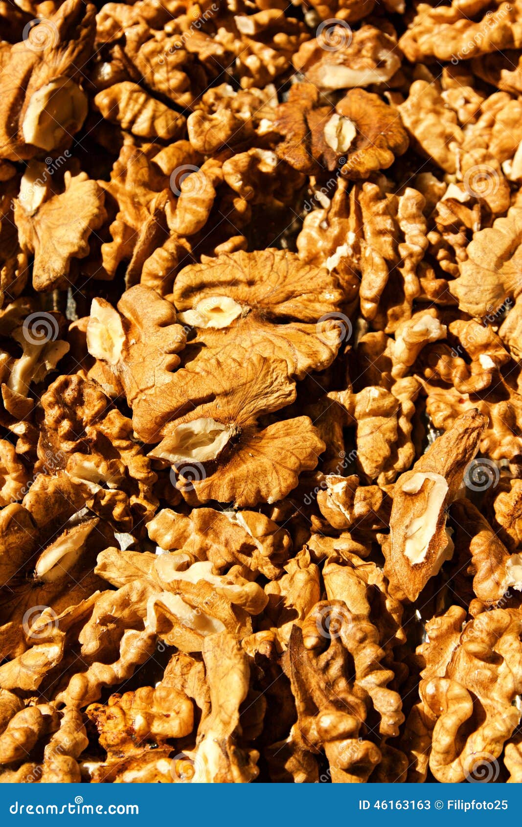 Walnut kernels stock image. Image of breakfast, fresh - 46163163