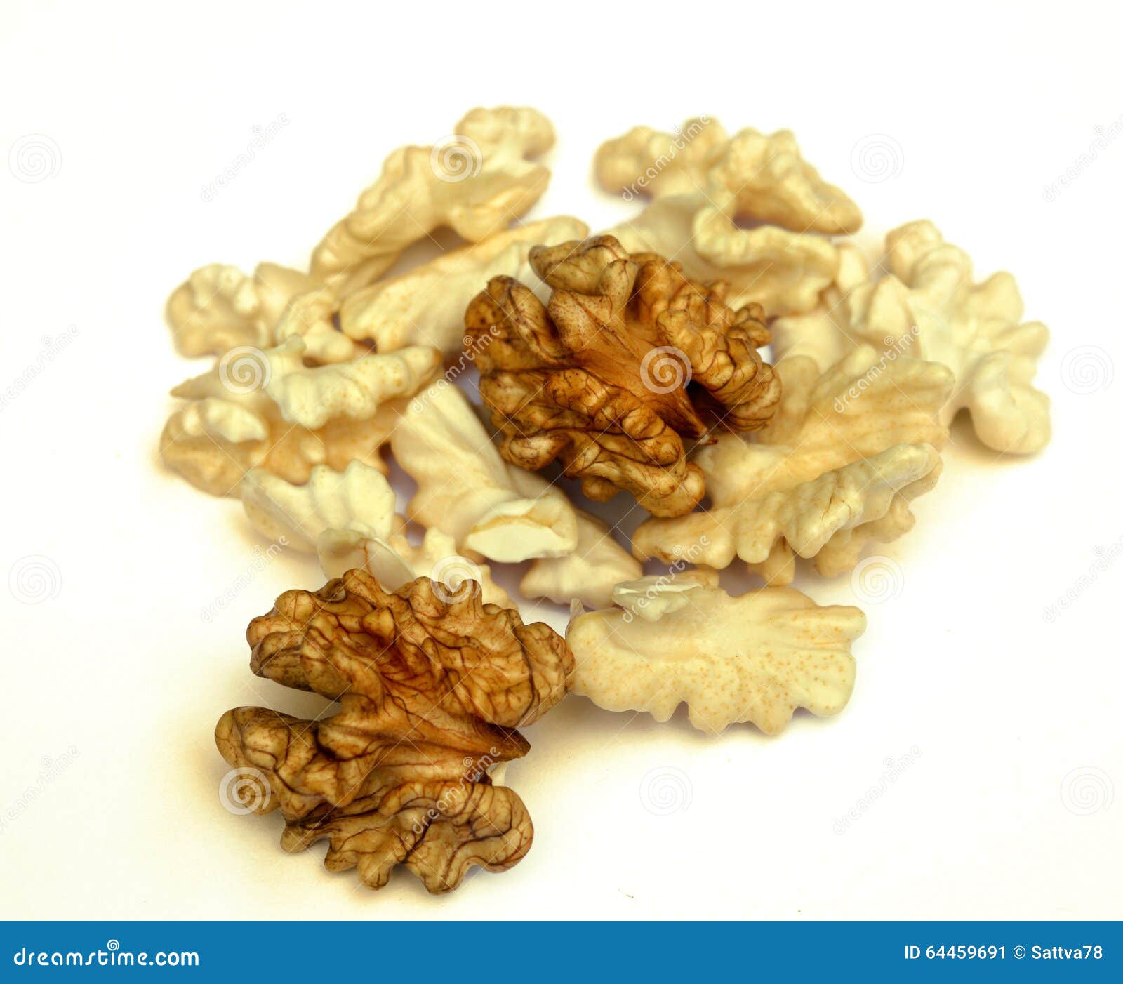 Walnut kernels stock image. Image of white, green, fresh - 64459691