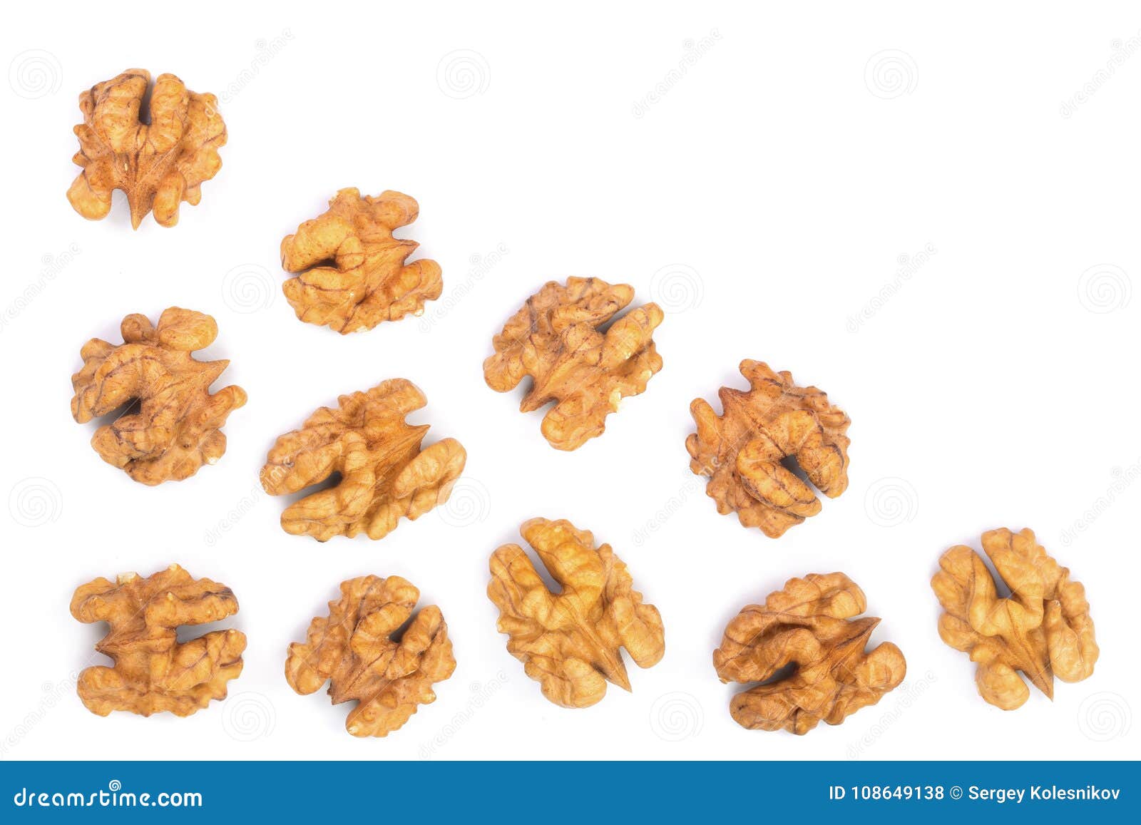 Walnut Kernels Isolated on White Background with Copy Space for Your ...