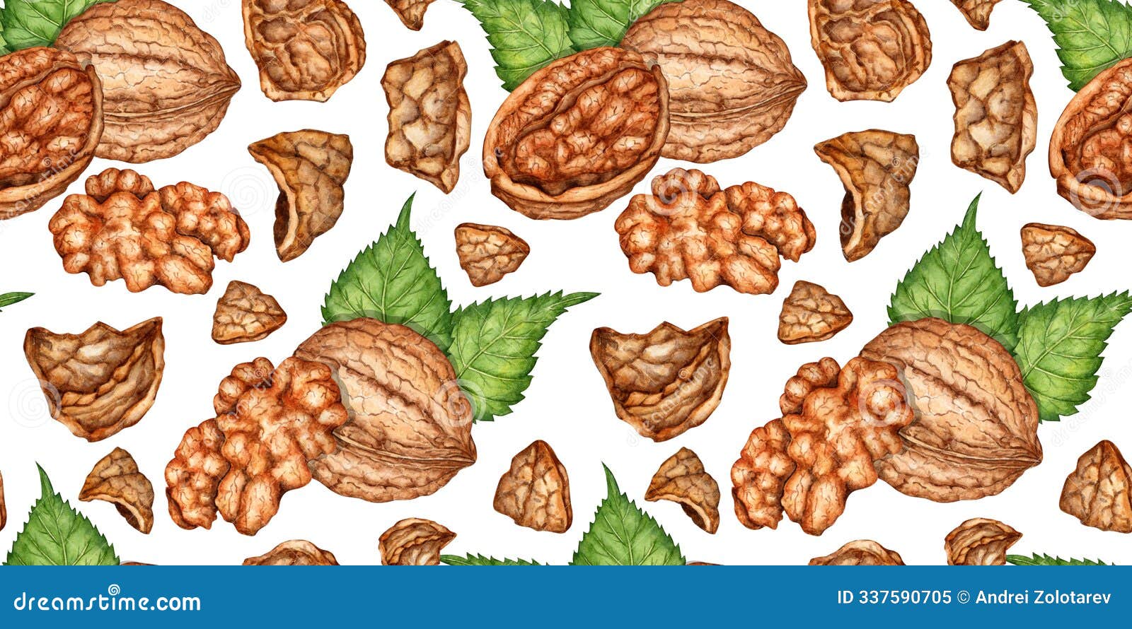 Walnut Kernels Shell and Leaves in Watercolor Stock Image - Image of ...