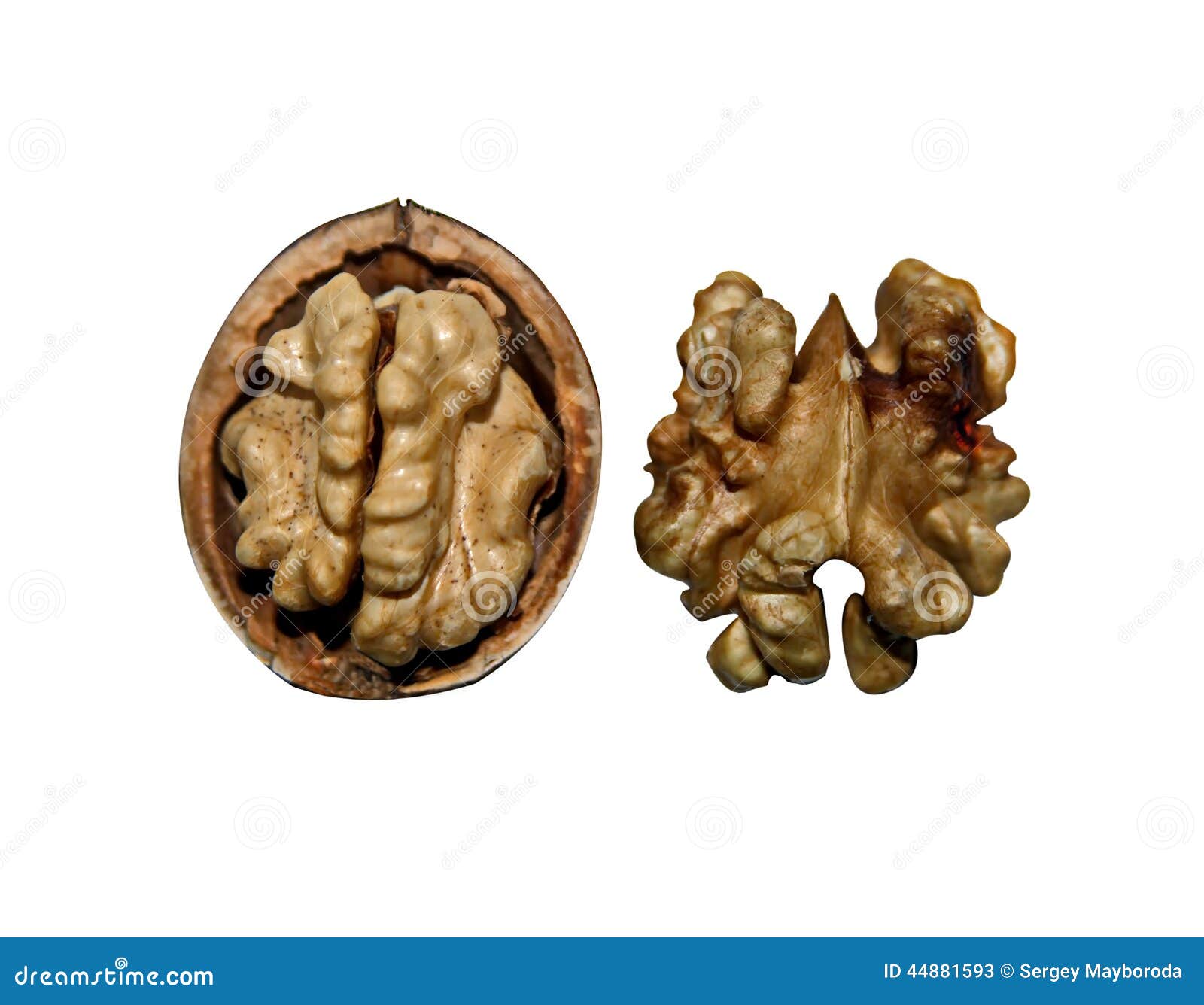 Walnut kernels stock image. Image of husk, close, natural - 44881593