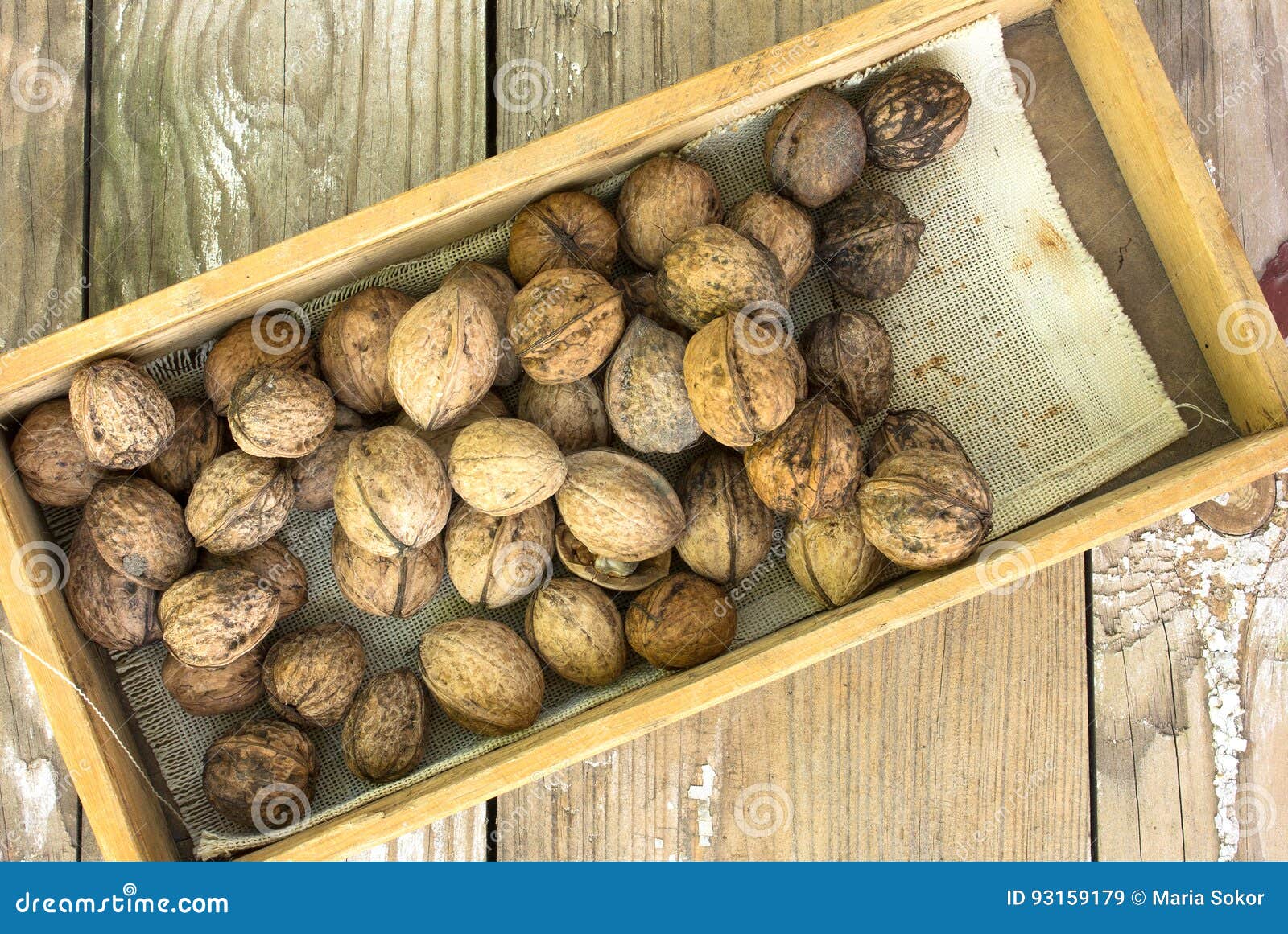 Walnut kernels stock image. Image of kitchen, rustic - 93159179