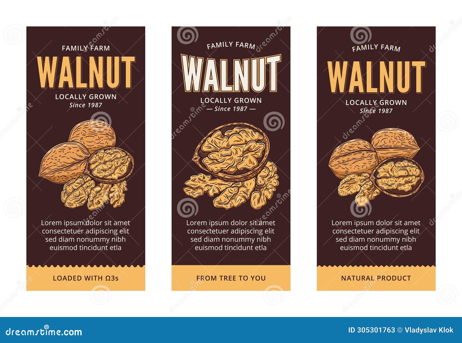 Walnut Labels in Modern Style Stock Illustration - Illustration of ...