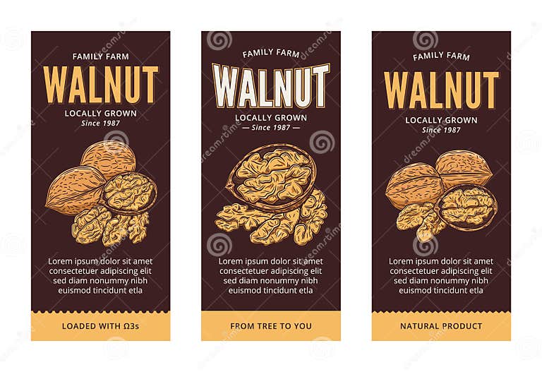 Walnut Labels in Modern Style Stock Illustration - Illustration of ...