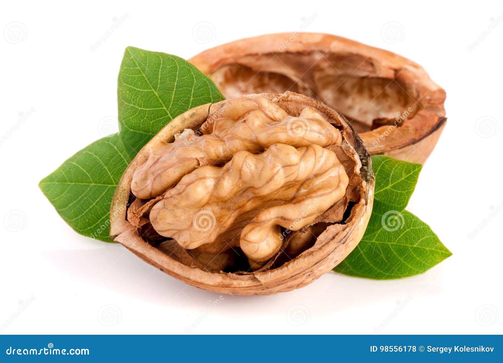 Walnut with Leaf Isolated on White Background Stock Photo - Image of ...