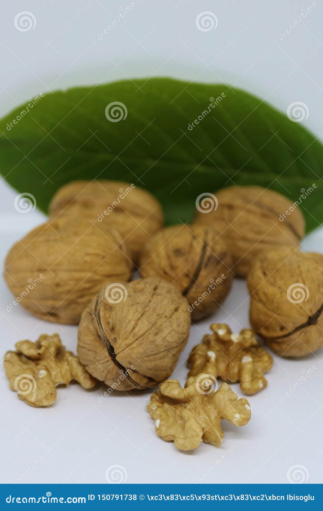 Image of walnut with leaf. stock photo. Image of juglans - 150791738