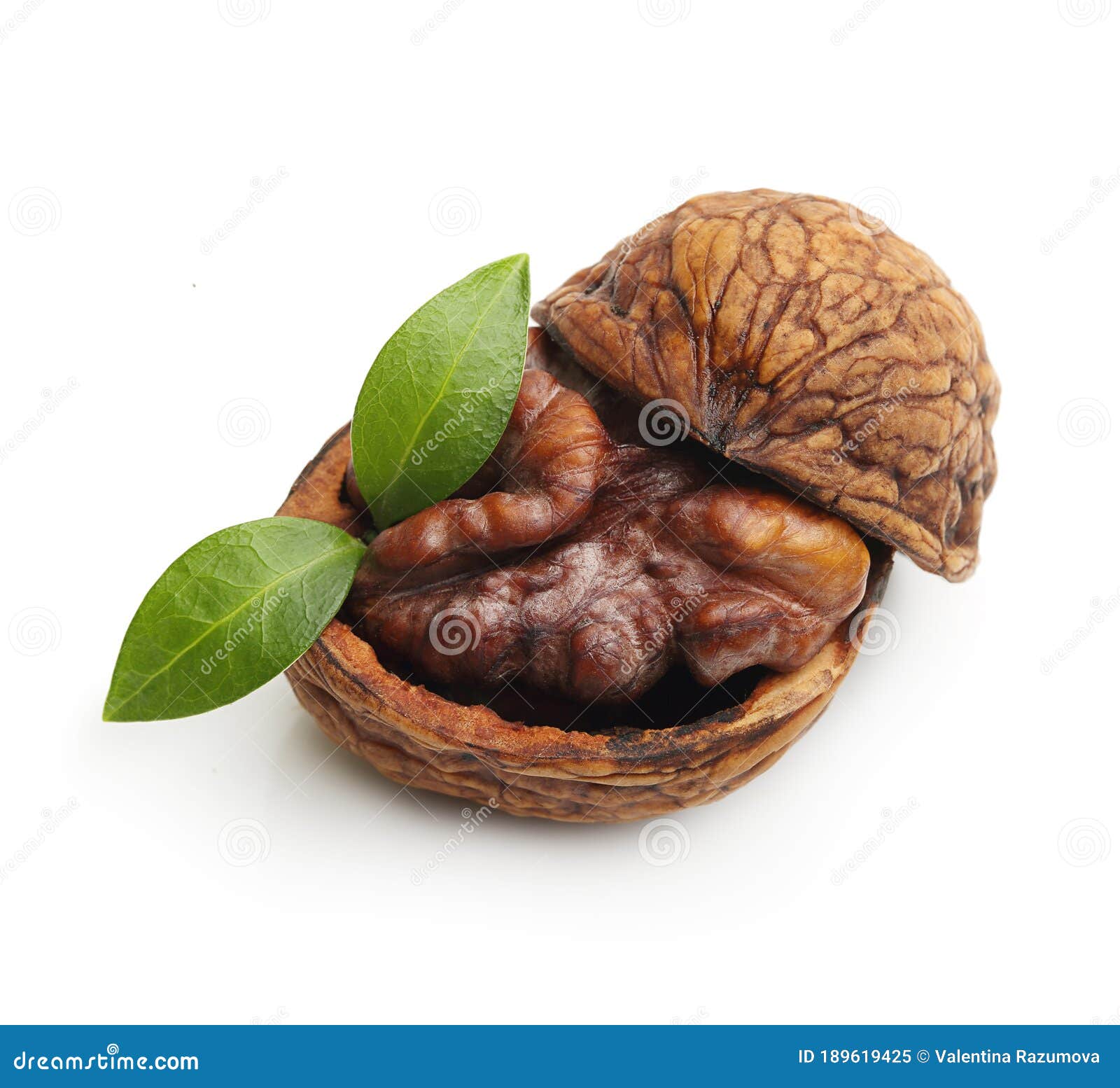 Walnut with leaf isolated stock image. Image of nutrition - 189619425