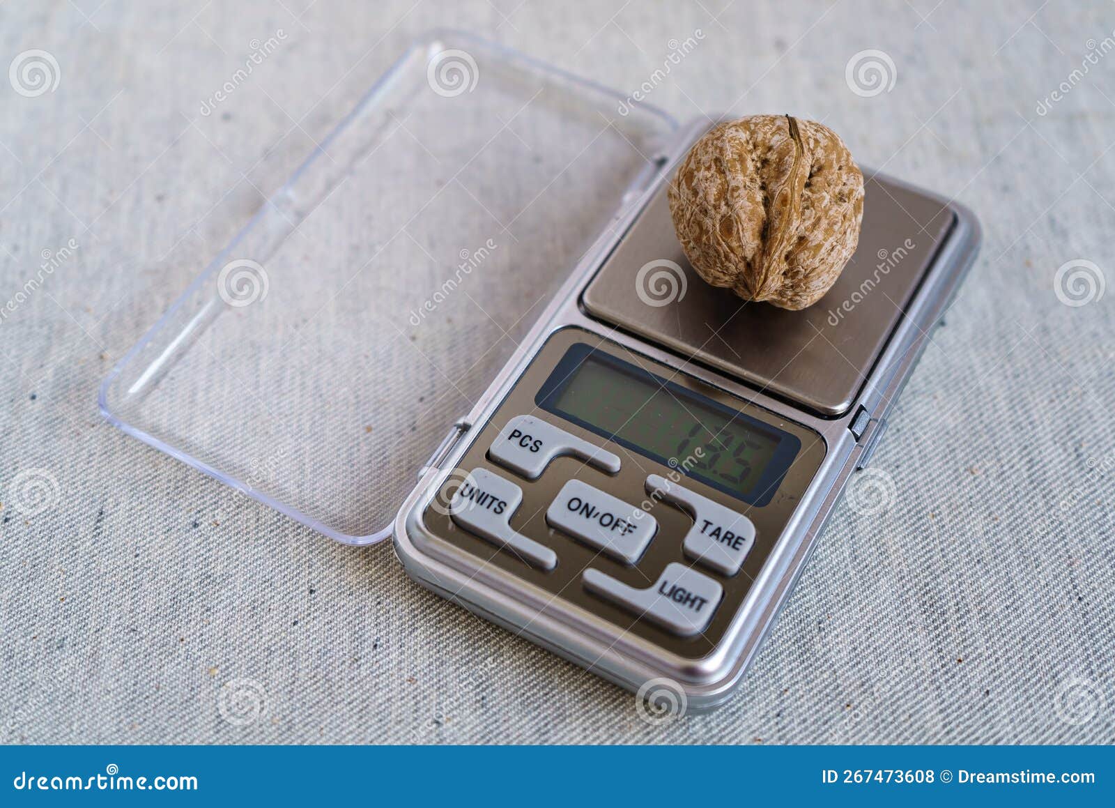 Walnut lies on the scales stock photo. Image of measuring - 267473608