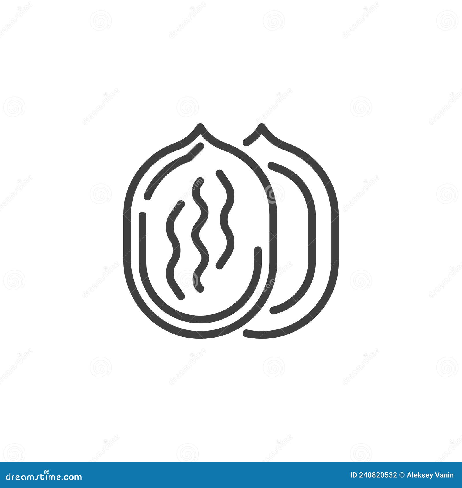 Walnut line icon stock vector. Illustration of pictogram - 240820532
