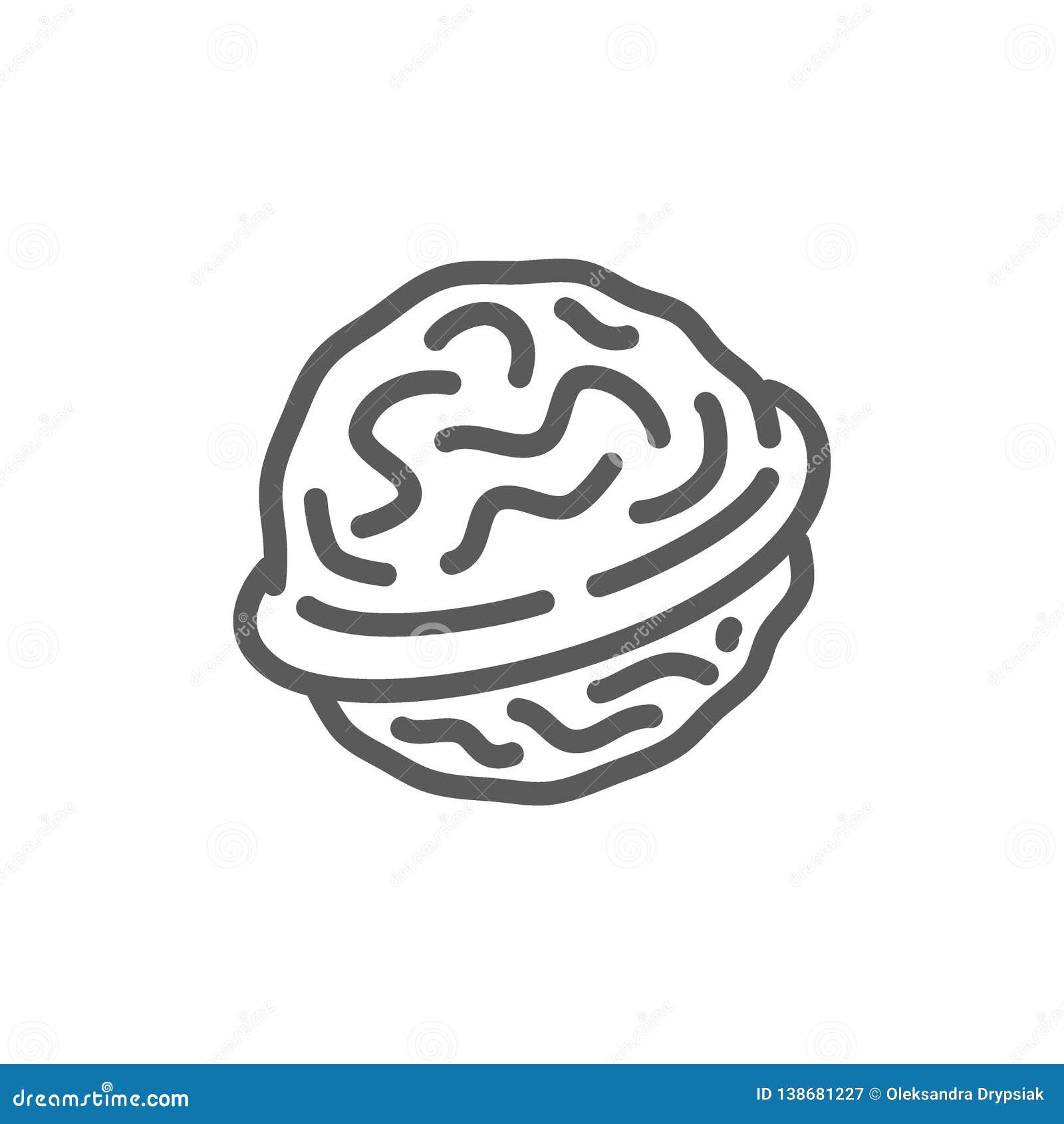 Walnut line icon. stock vector. Illustration of ingredient - 138681227