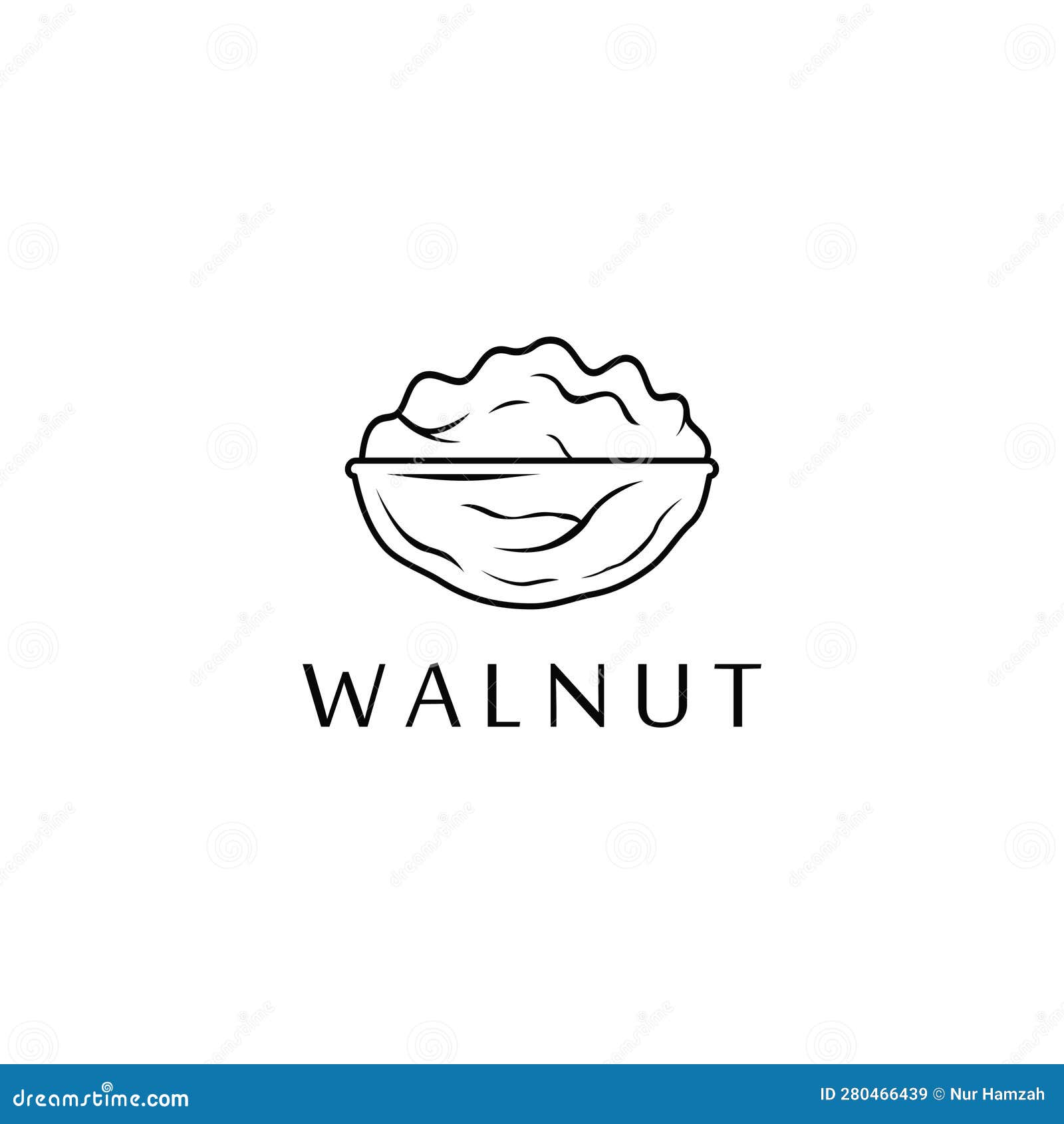 Walnut Logo Template Isolated White Background Stock Vector ...