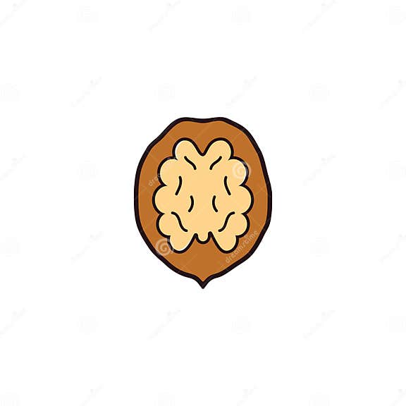 Walnut Logo Template Isolated White Background Stock Vector ...