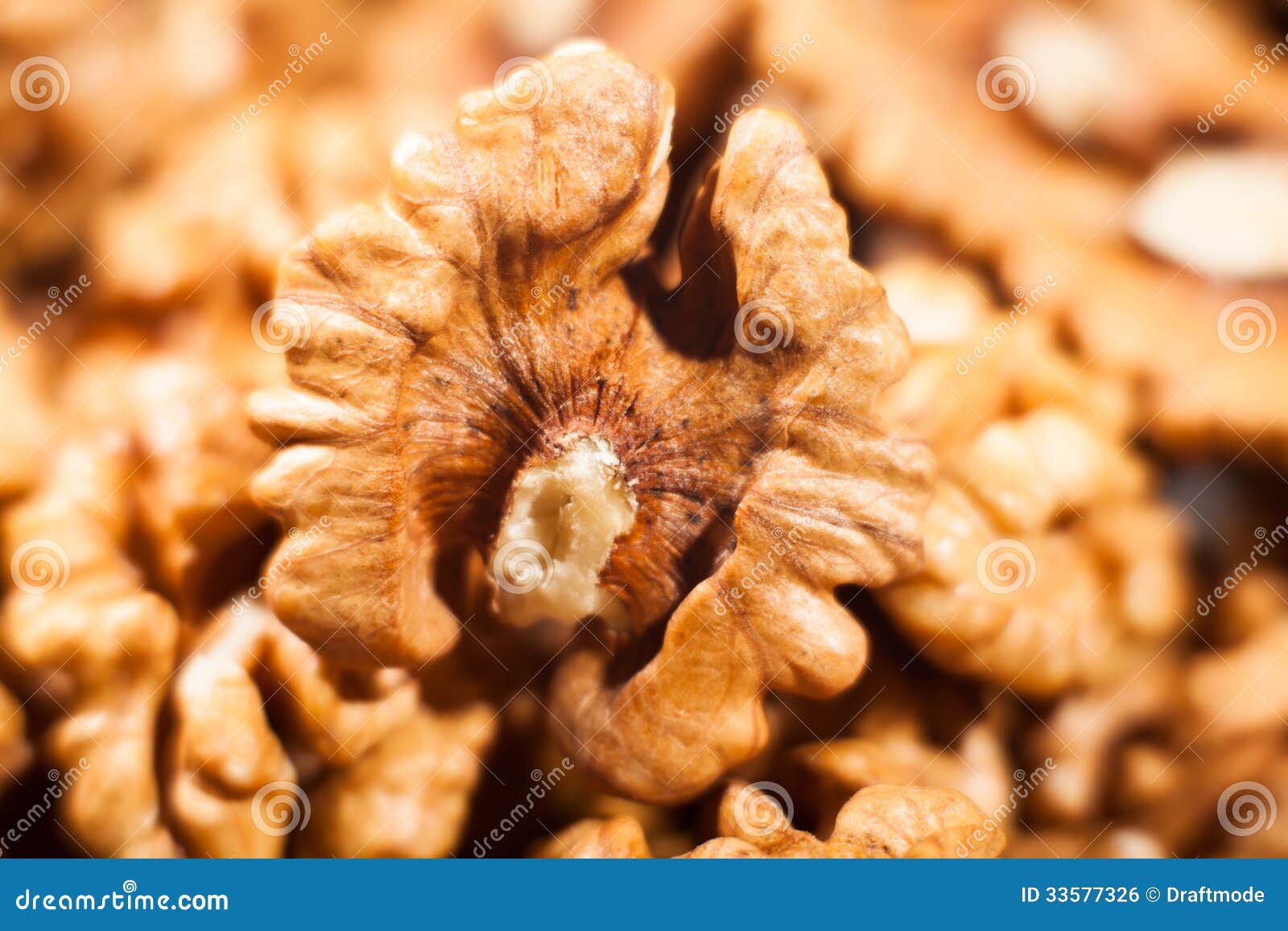 Walnut macro stock photo. Image of studio, healthy, nutrition - 33577326