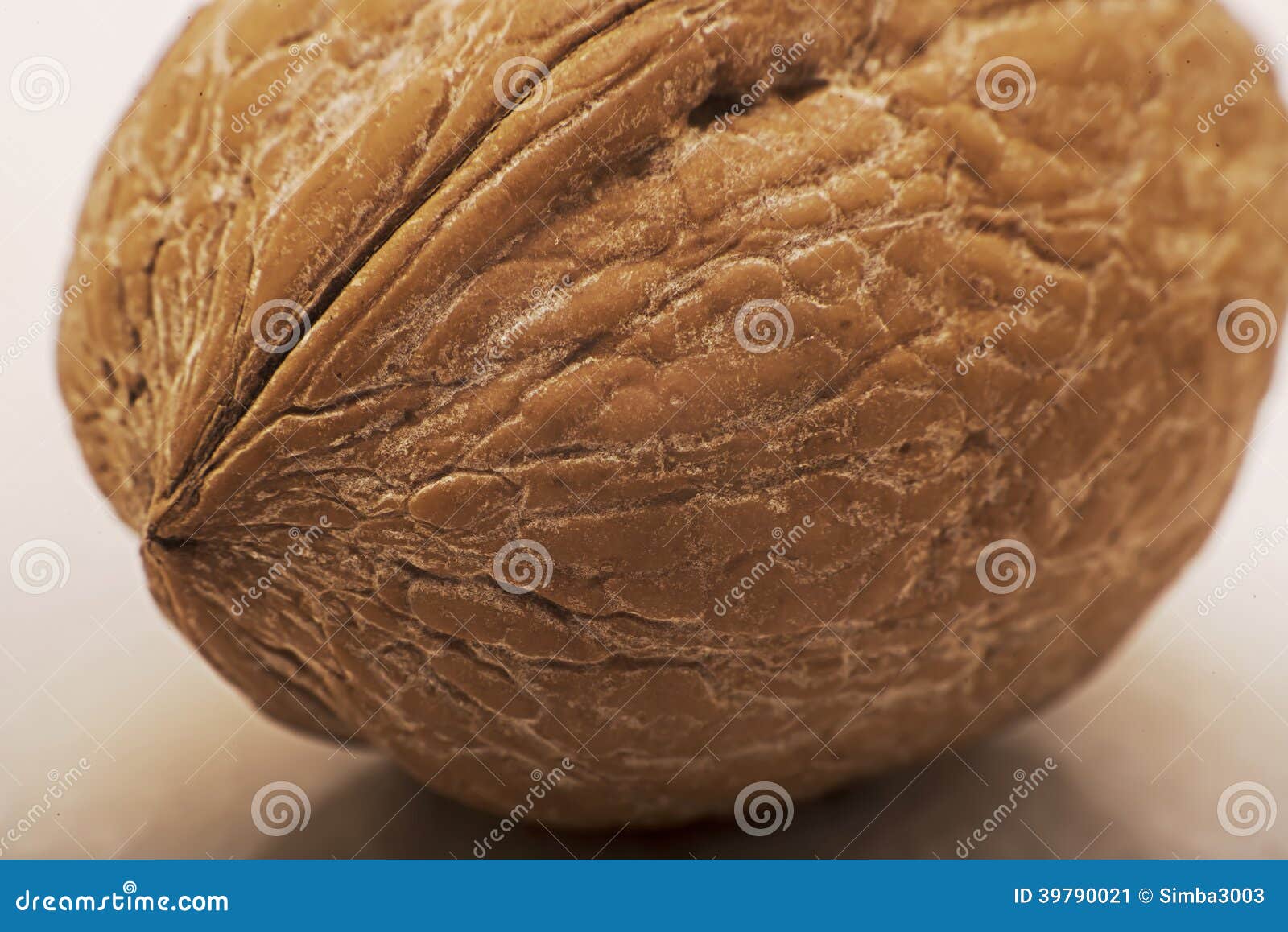 Walnut macro stock image. Image of brown, agriculture - 39790021