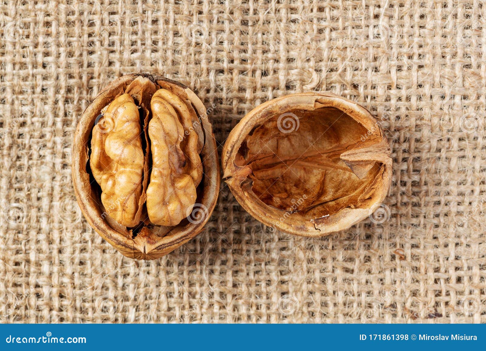 Walnut Macro Shot. Texture Shell. Rural Style Stock Photo - Image of ...