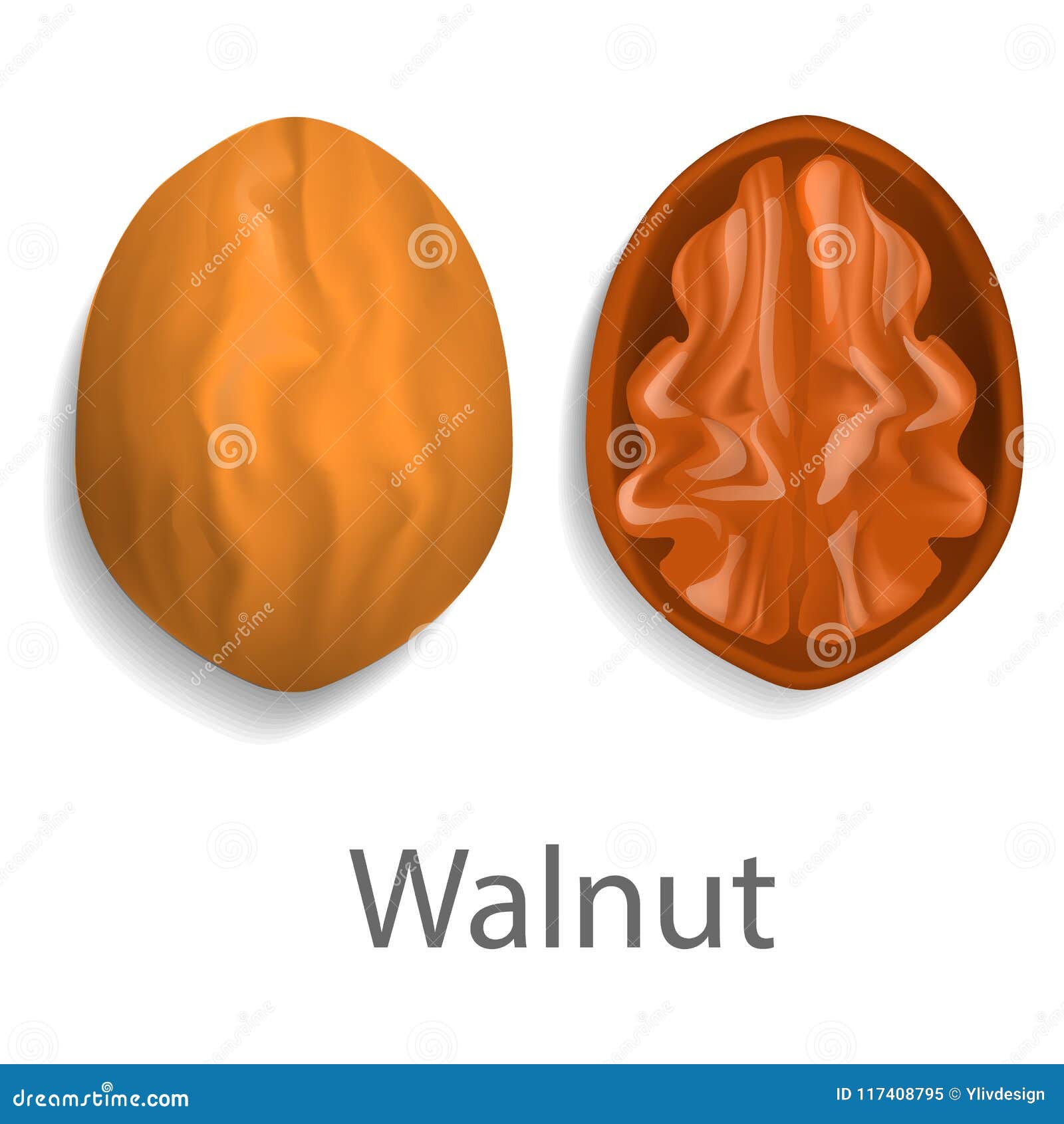 Walnut Mockup, Realistic Style Stock Vector - Illustration of kitchen ...