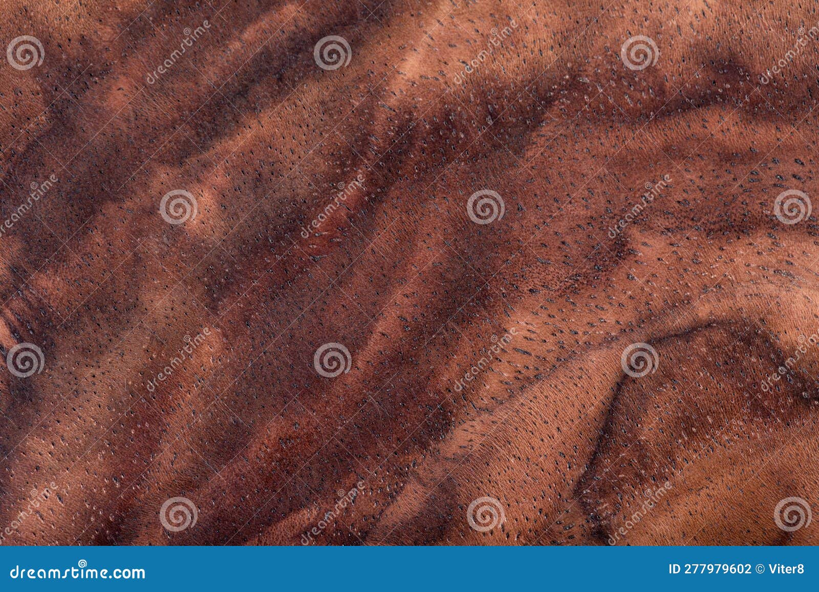 Walnut Natural Wood Texture Stock Photo - Image of floor, background ...